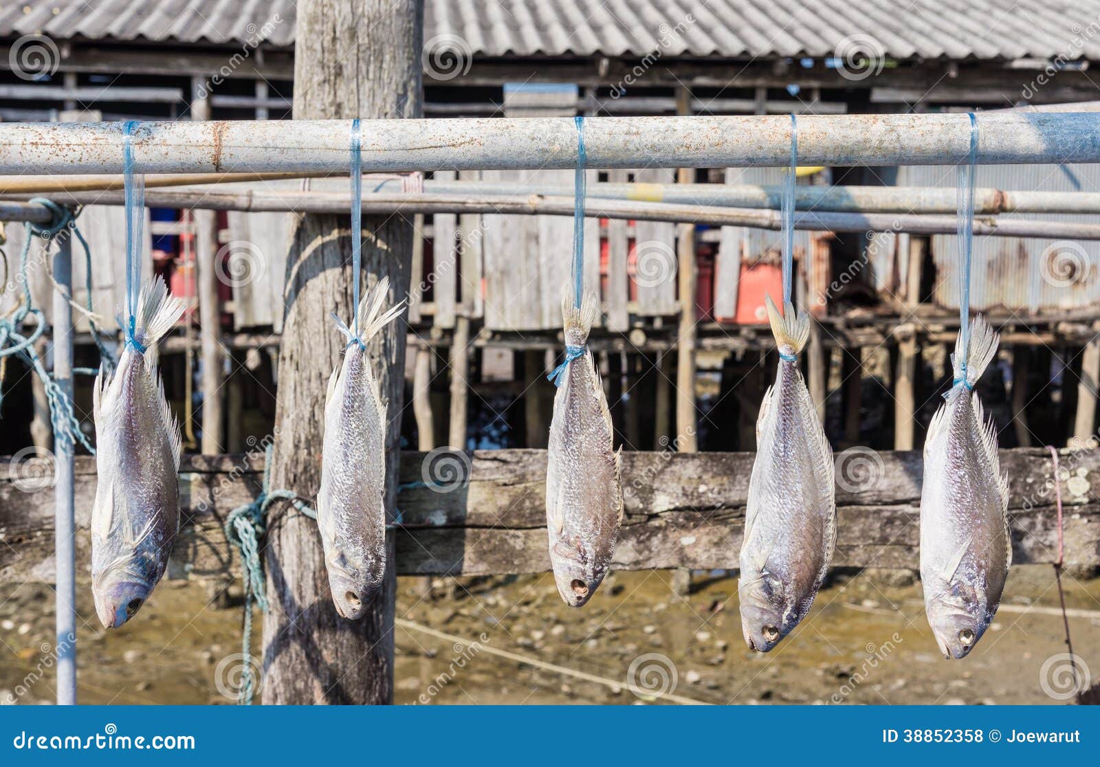Dried salted fish stock photo. Image of gourmet, nutrition - 38852358