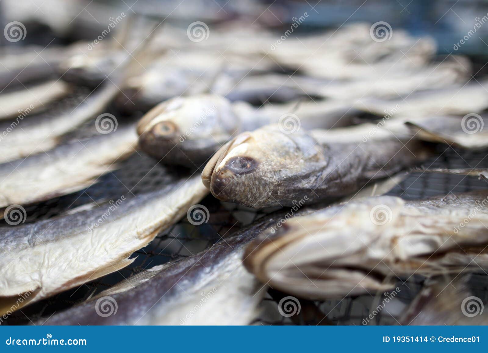Dried Salted Fish at Market Stock Photo - Image of dried, seafood: 19351414