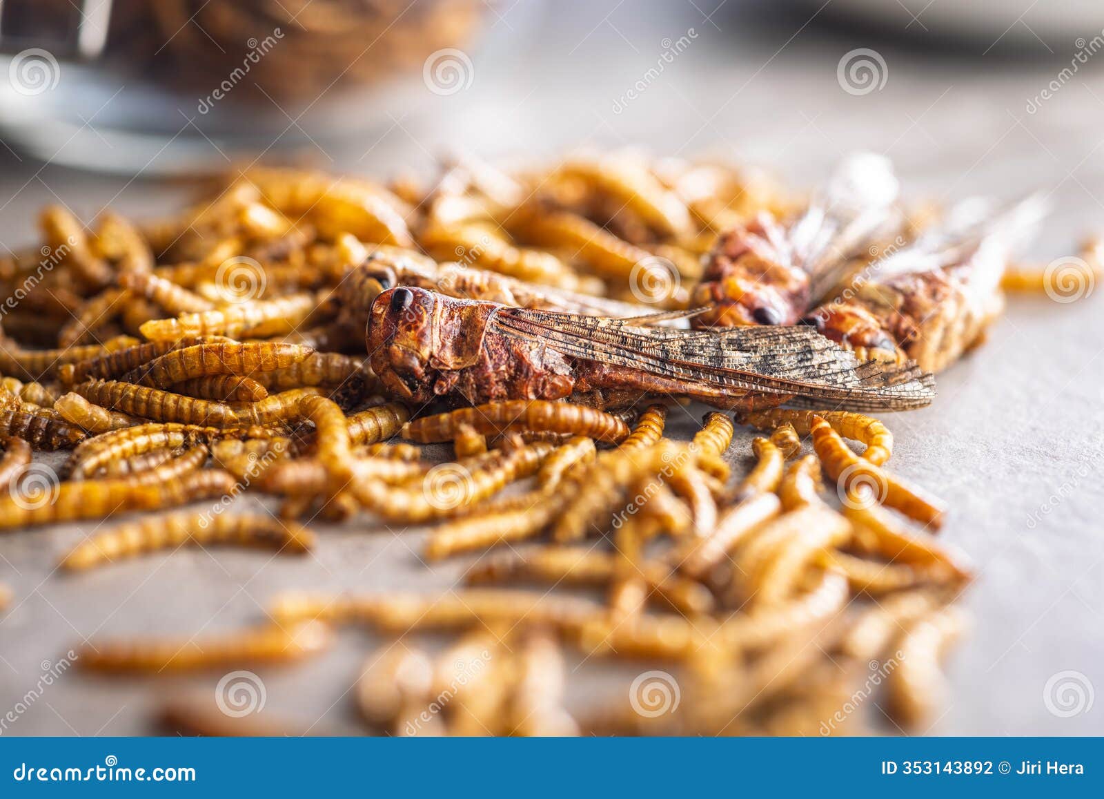 Dried Salted Insect. Roasted Grasshoppers and Meal Worms on Kitchen ...