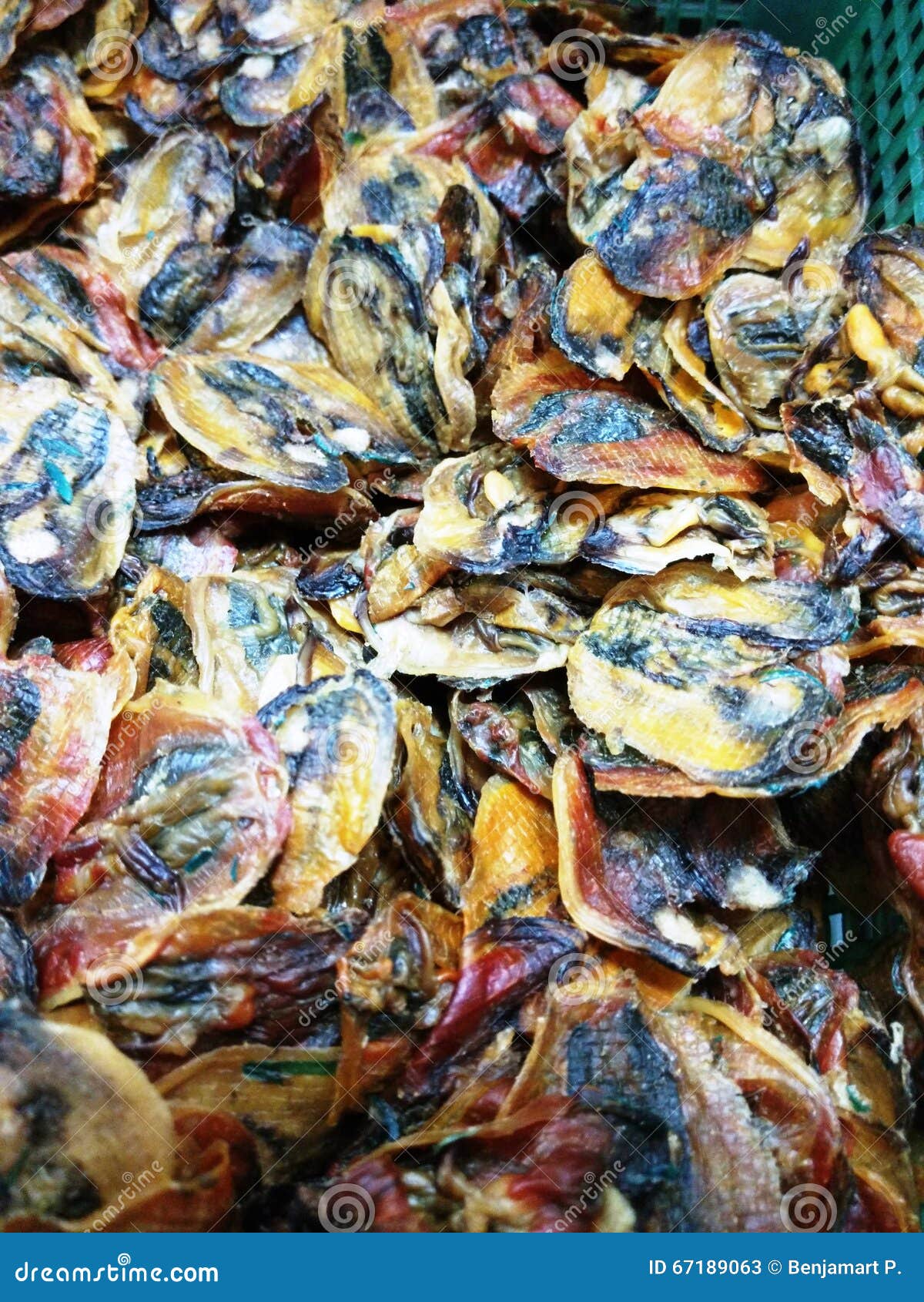 Dried Salted Shellfish stock image. Image of color, life - 67189063