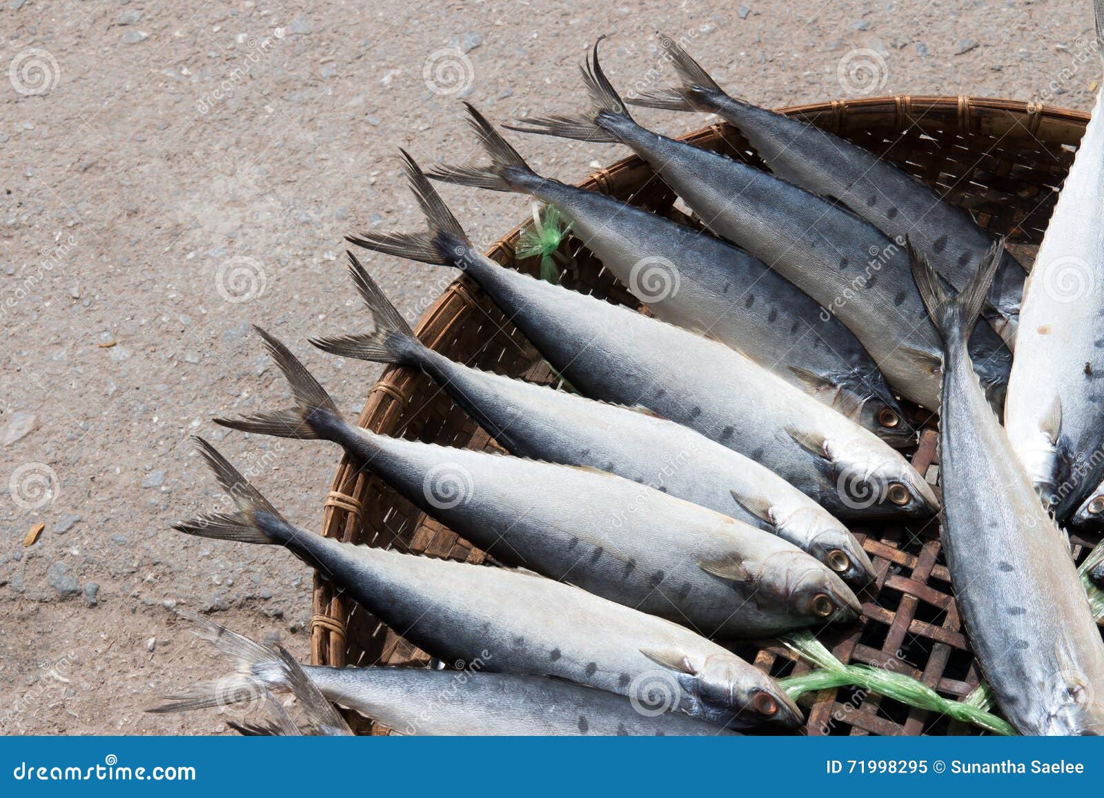 Dried Salted Yellow Queenfish. Stock Image - Image of nature, fresh ...