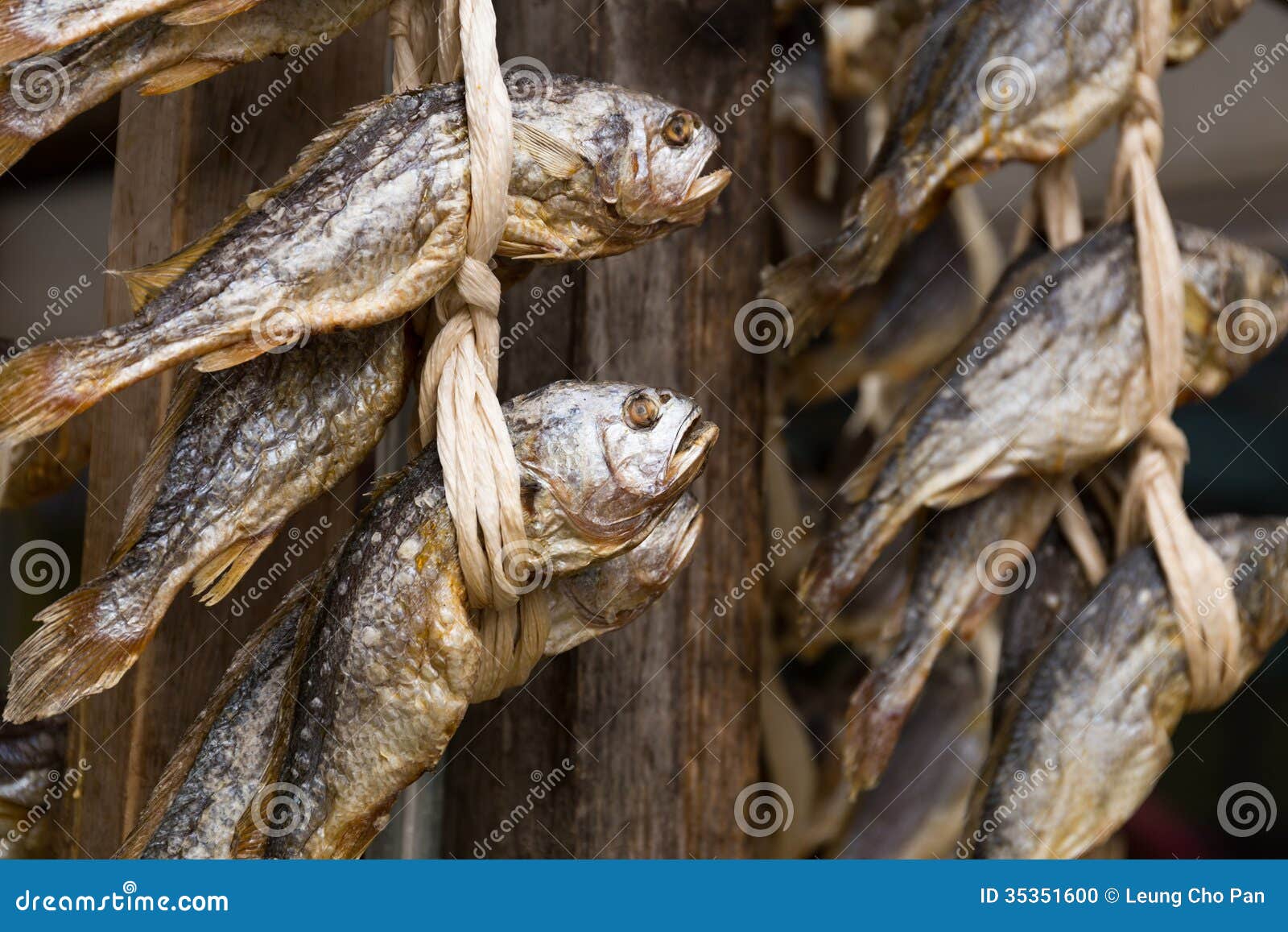 Dried salty fish hanging stock photo. Image of salted - 35351600