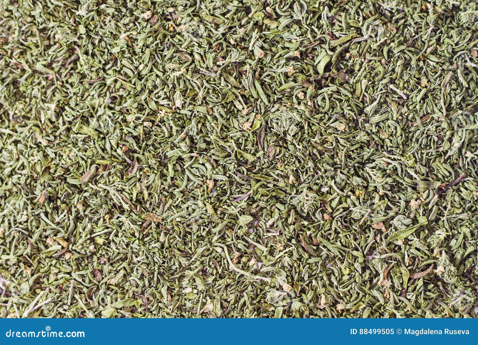 Dried savory stock image. Image of health, condiment - 88499505