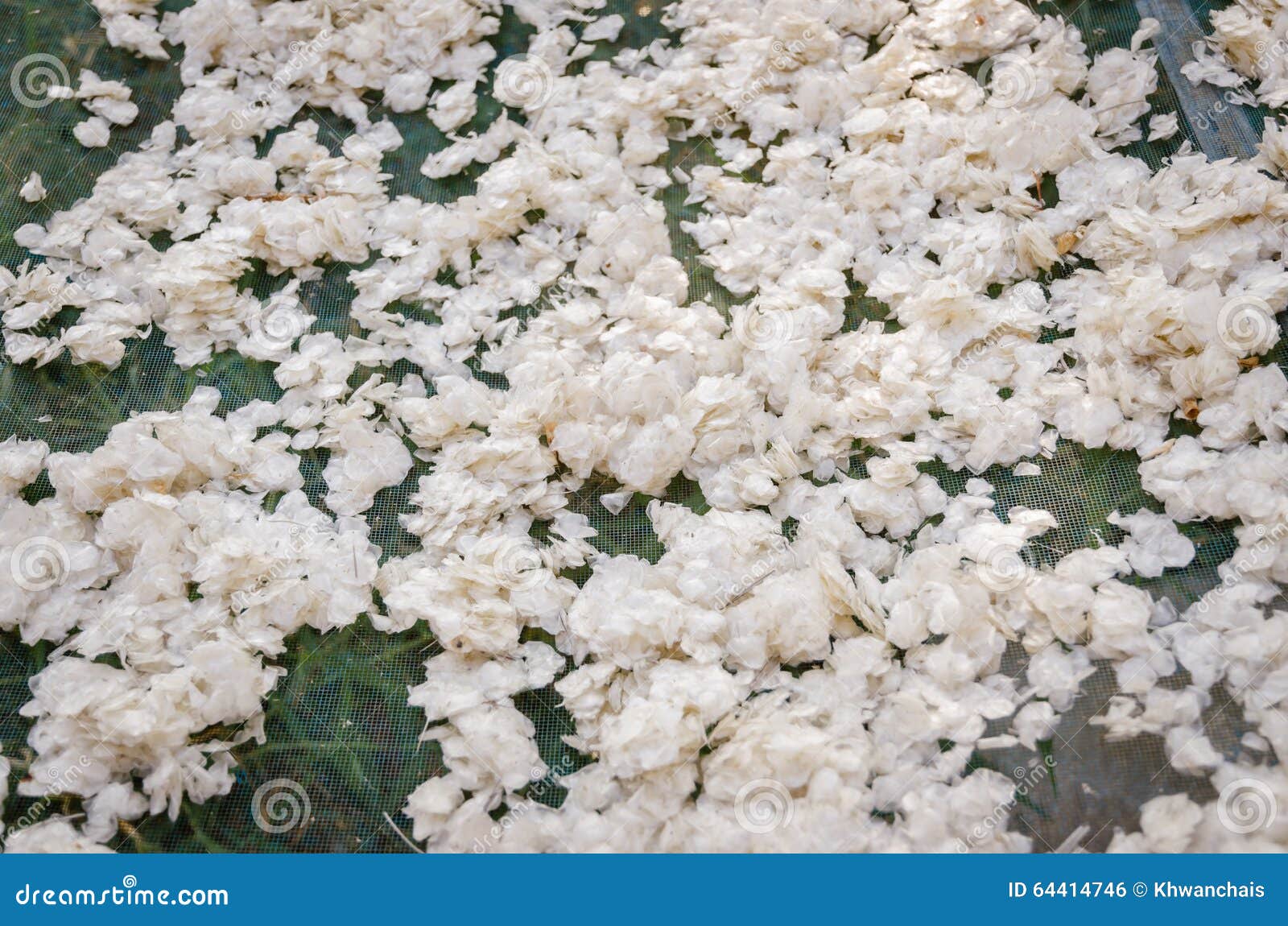 Dried scales of fish stock photo. Image of scale, skin - 64414746