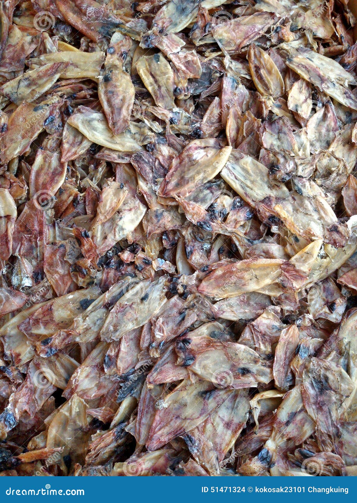 Dried seafood stock photo. Image of seafood, life, cooking - 51471324