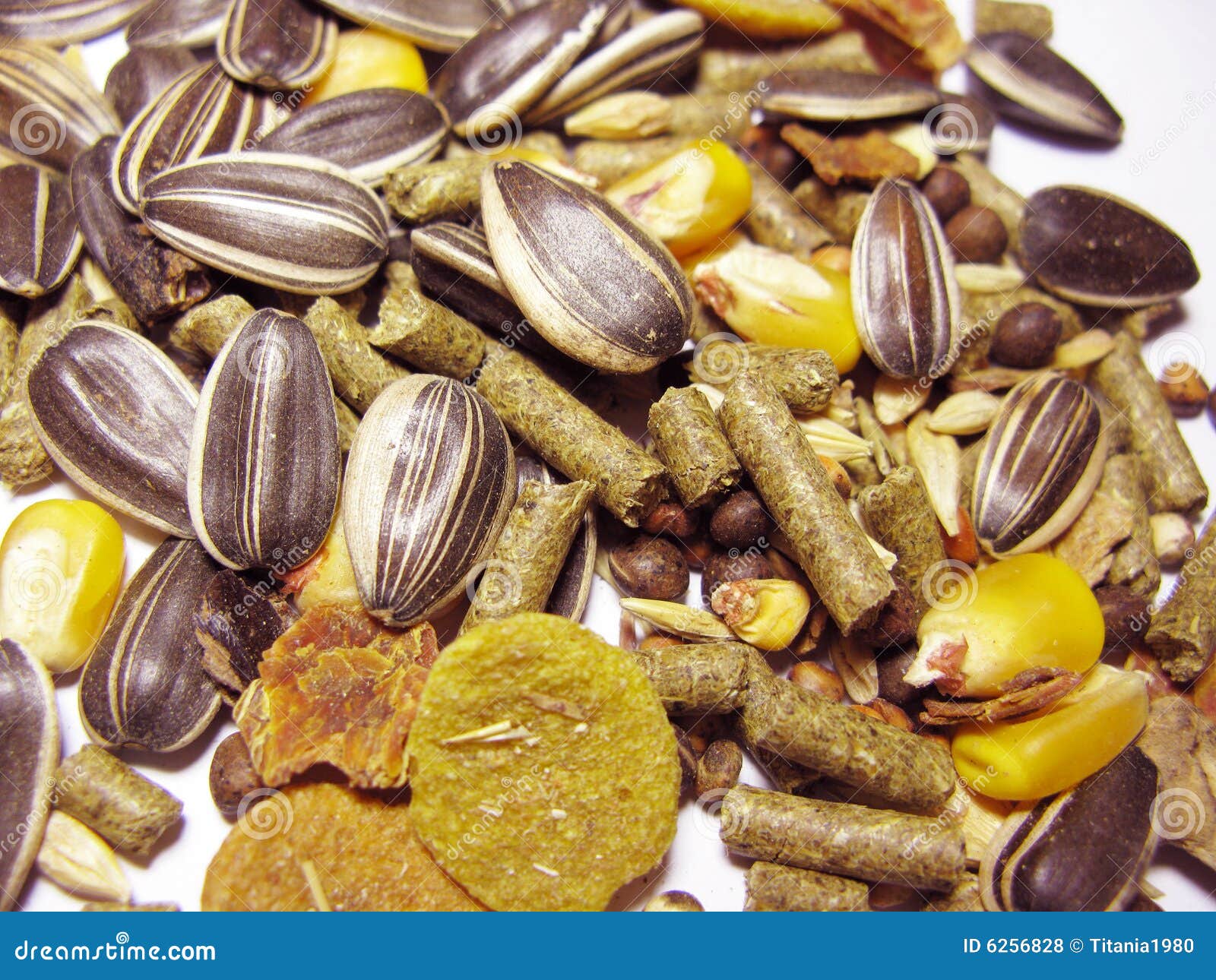 Dried Seeds Of Ash Tree Fraxinus Excelsior. Samara Fruits Known As ...