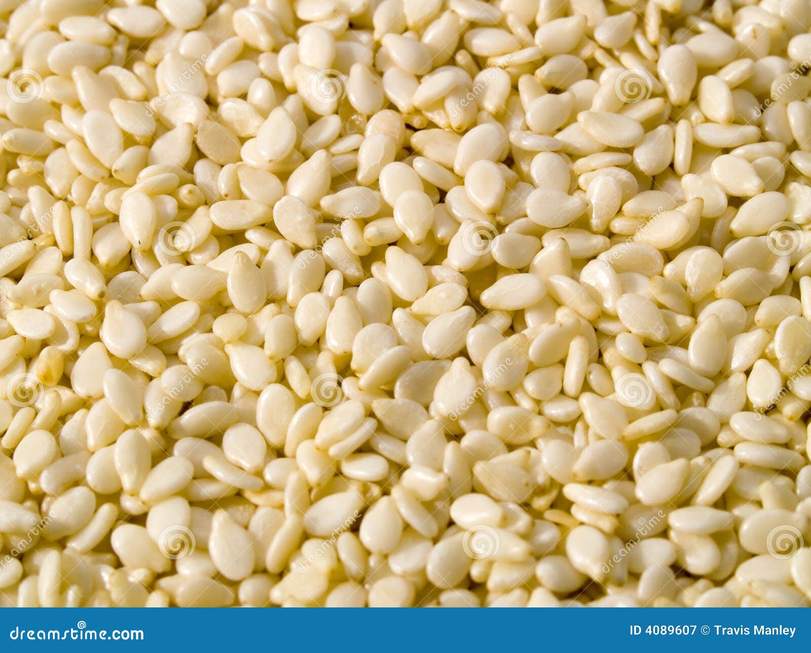 Dried Sesame Seed Background Stock Image - Image of vegetable ...