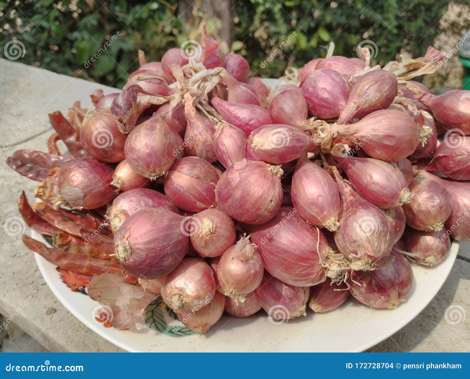 Dried shallot on the plate stock photo. Image of vegetable - 172728704