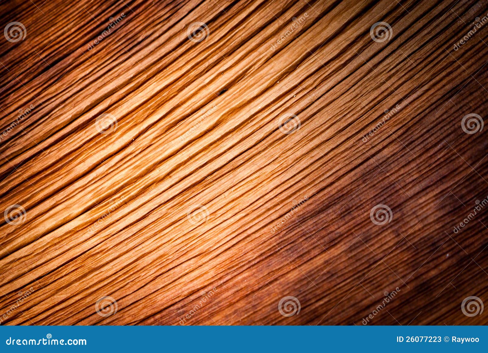 Dried Shell of Bamboo Shoots Stock Image - Image of fall, skin: 26077223