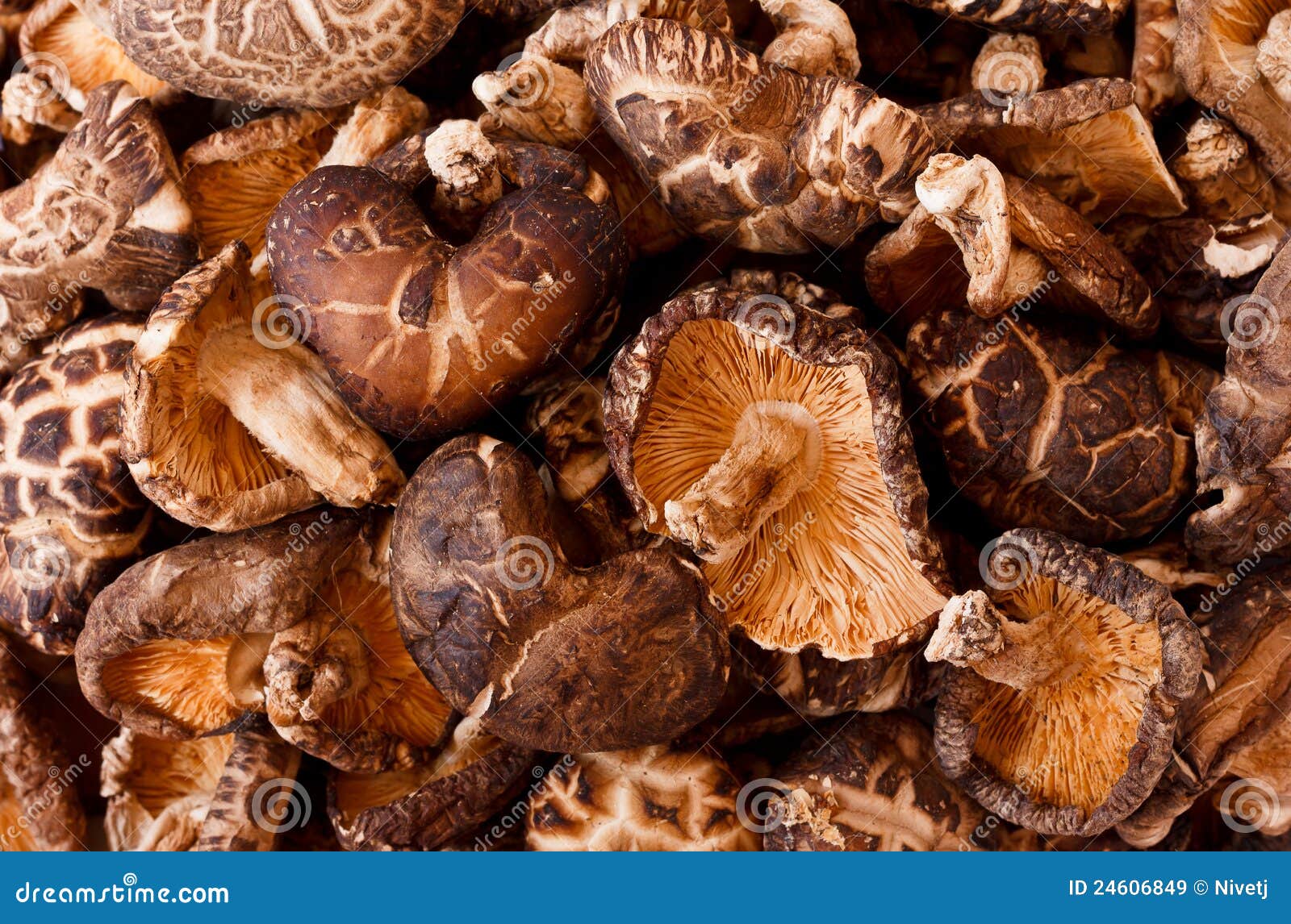 Dried shiitake mushroom stock image. Image of cuisine - 24606849