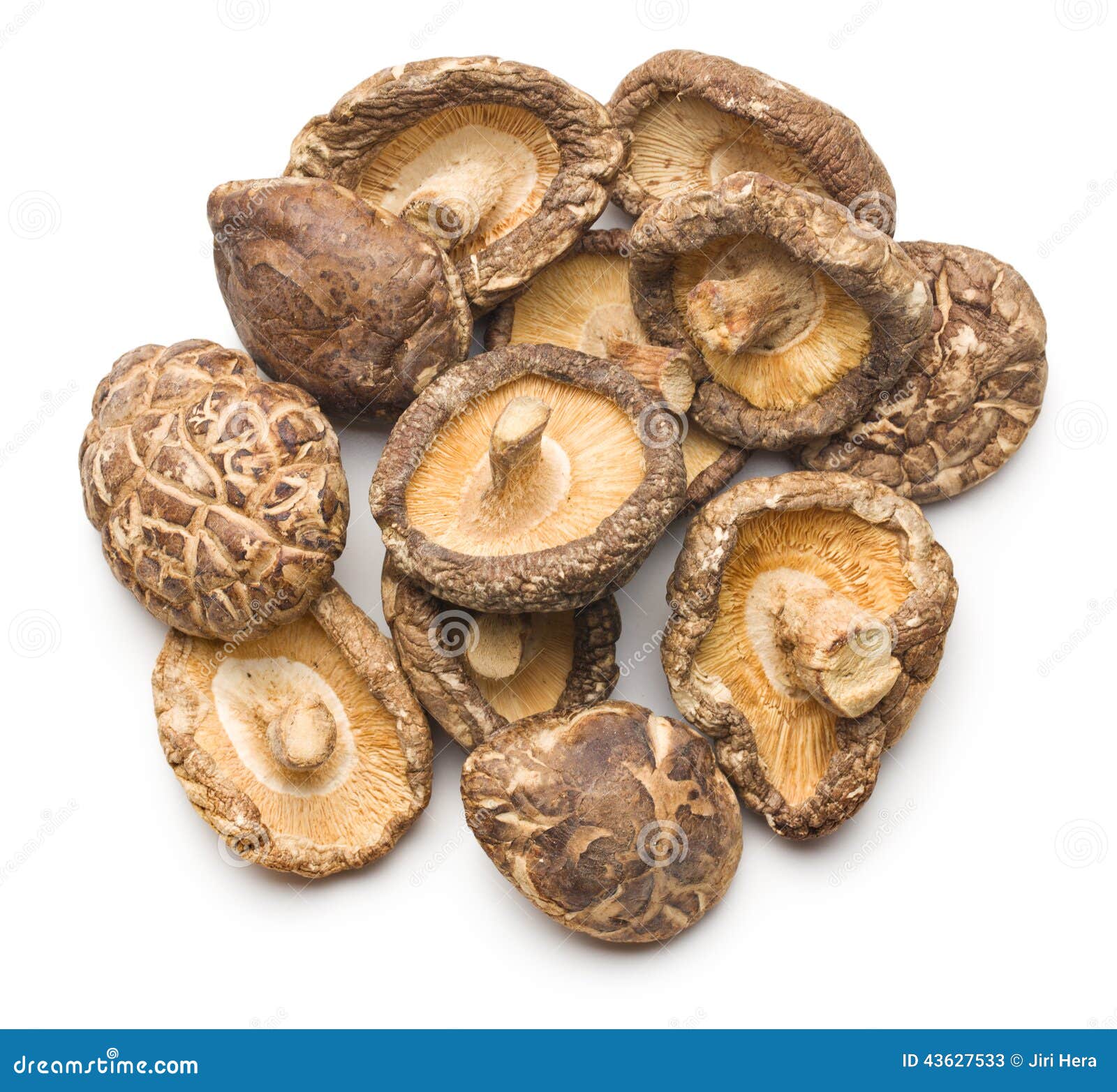 Dried shiitake mushrooms stock image. Image of nature - 43627533