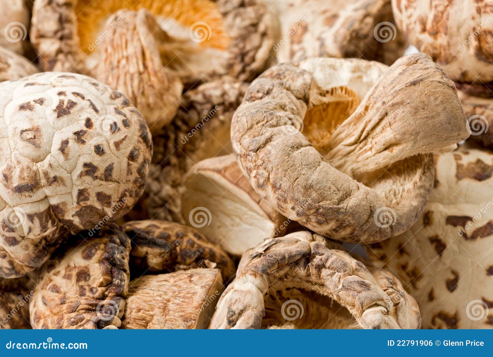 Dried Shitake Mushrooms (Lentinula Edodes) Stock Photo - Image of ...