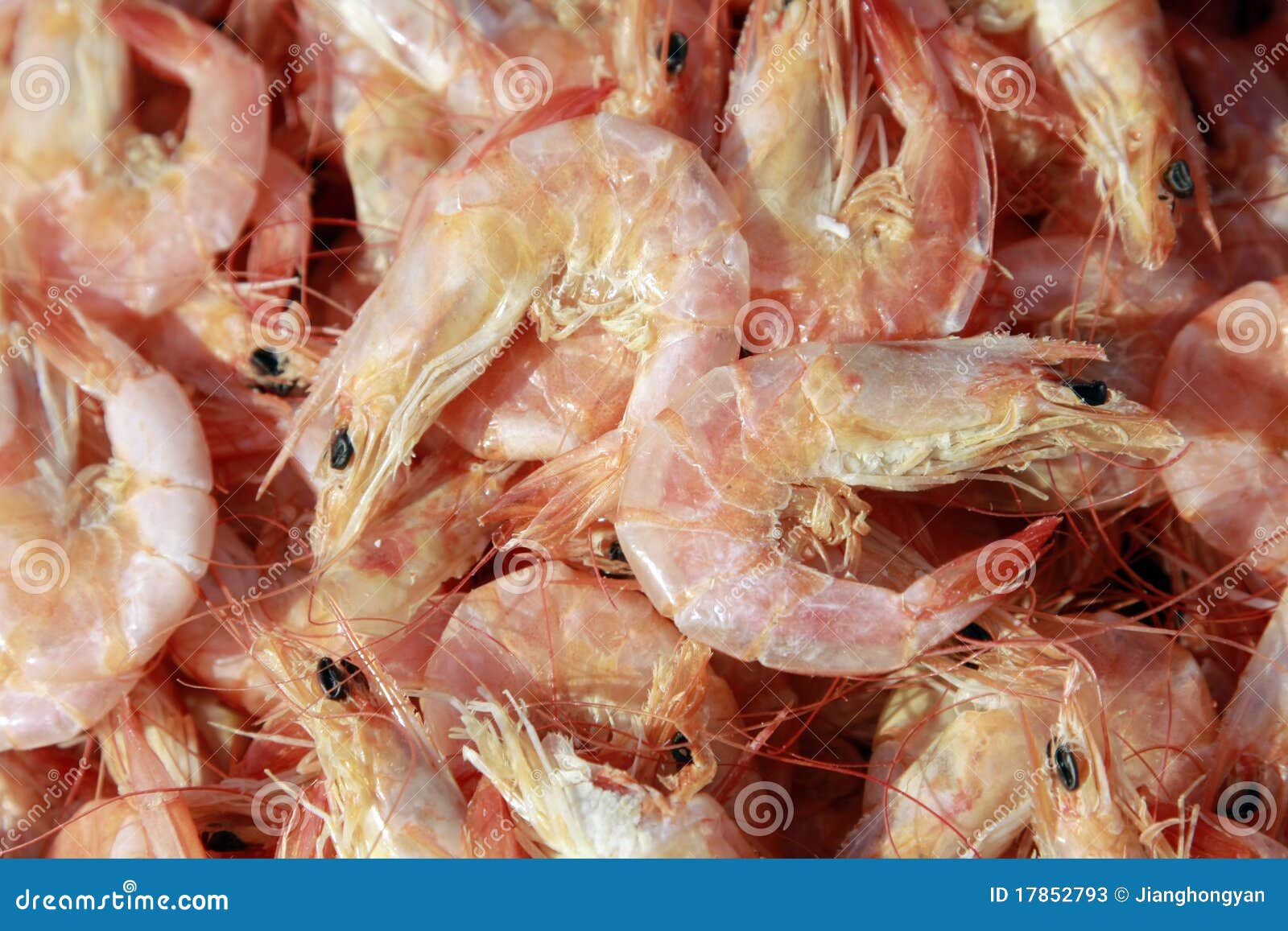 Dried shrimp stock image. Image of viewing, orange, farming - 17852793