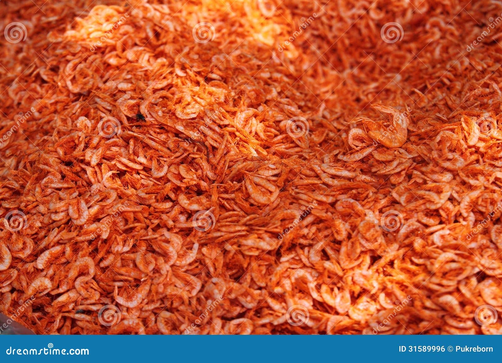 Dried shrimp stock photo. Image of animal, protein, asia - 31589996
