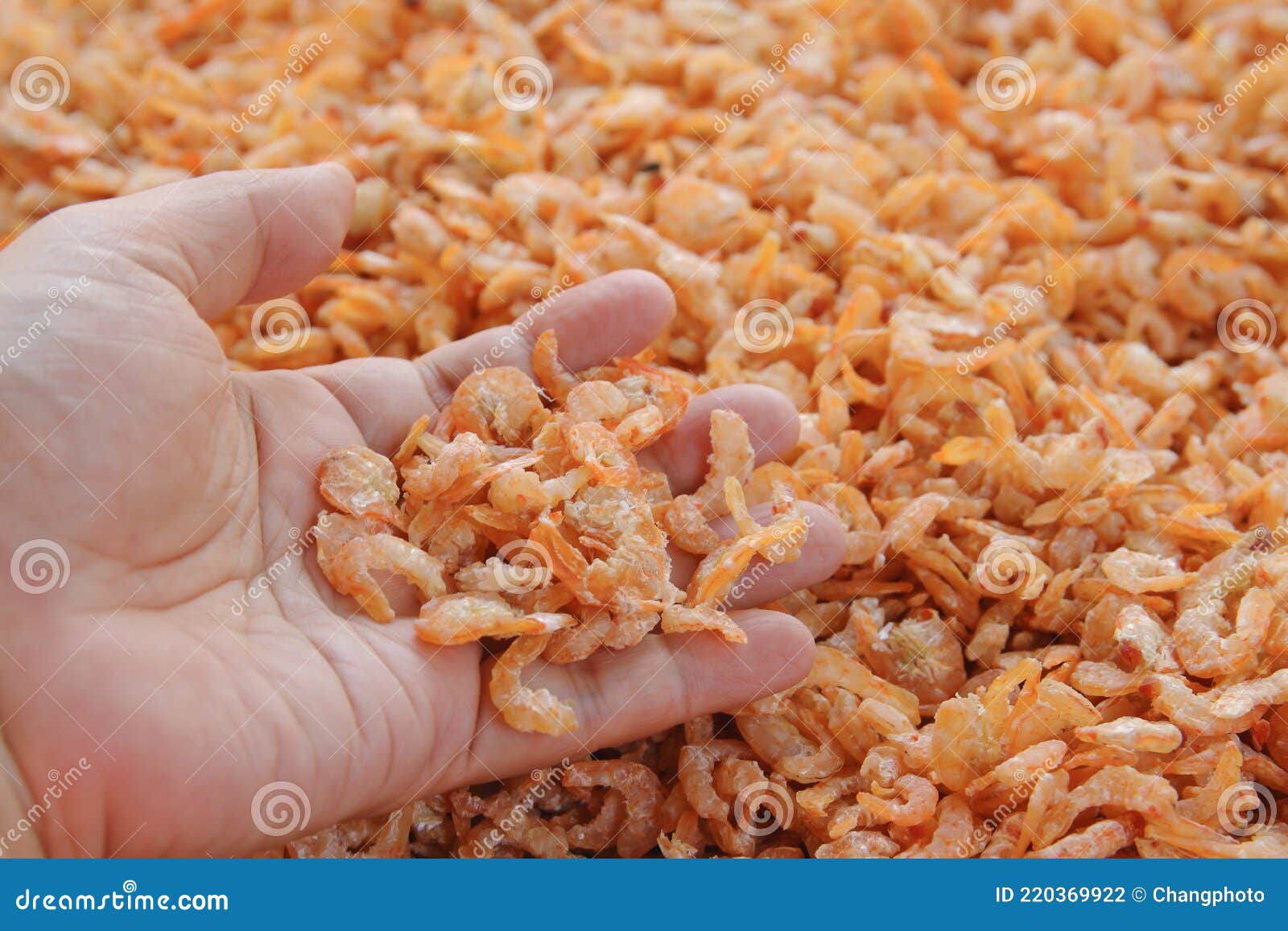 Dried Shrimp Processing in Under the Sun ,Traditional Way To Produce ...