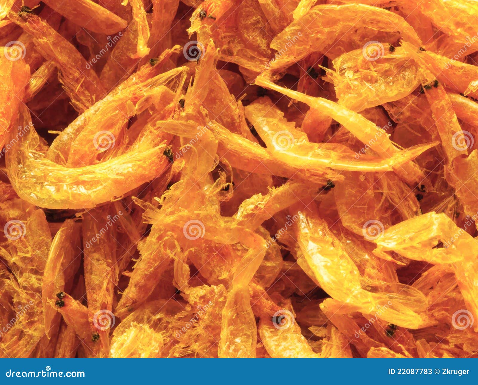 Dried shrimps stock image. Image of preserved, japanese - 22087783