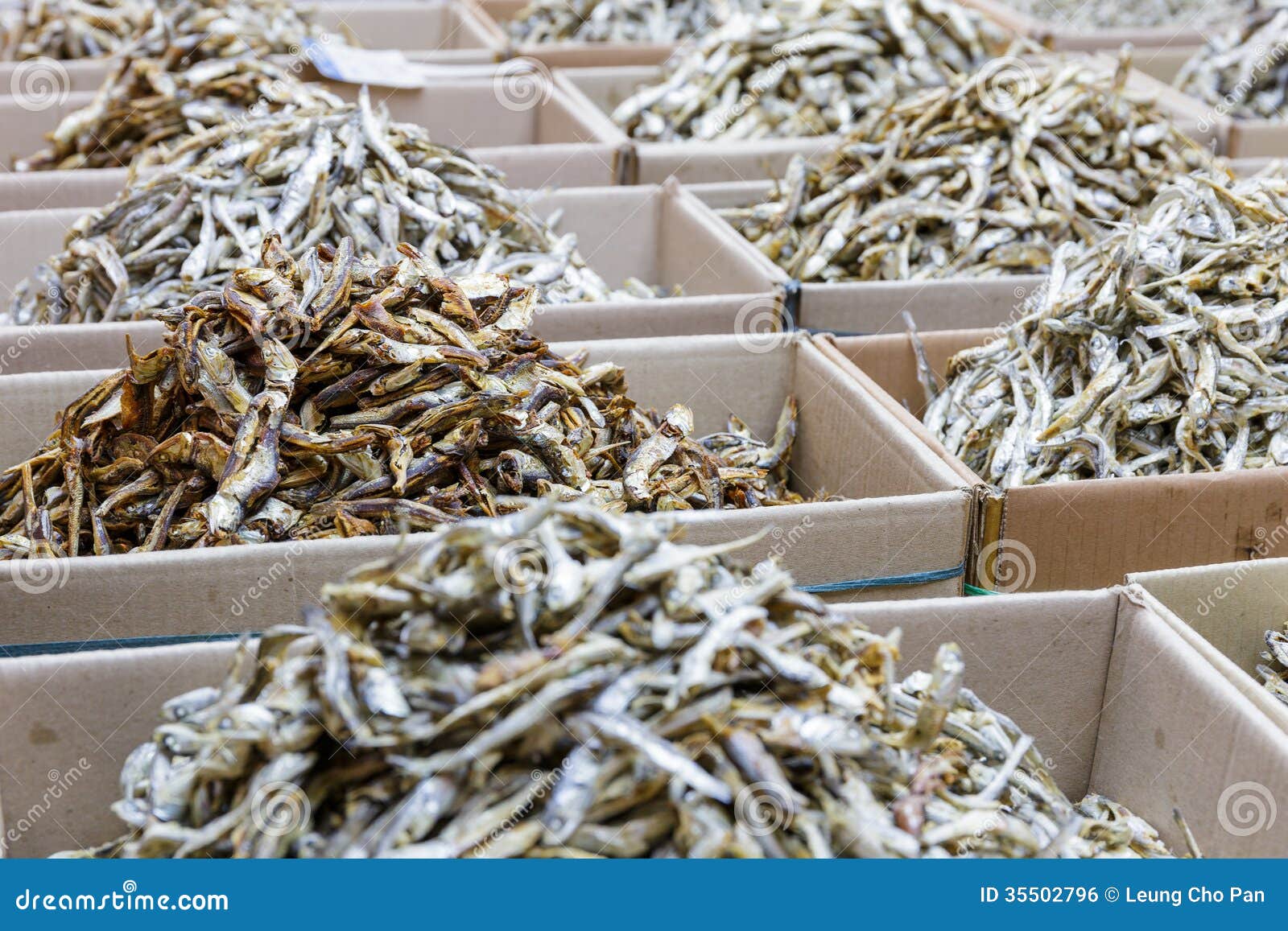 Dried small anchovy fish stock photo. Image of paper - 35502796
