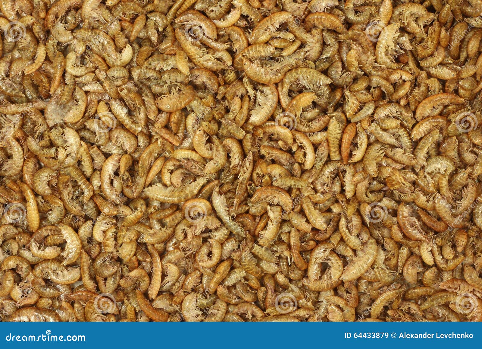 Dried Small Aquatic Crustaceans Background Stock Image - Image of dried ...