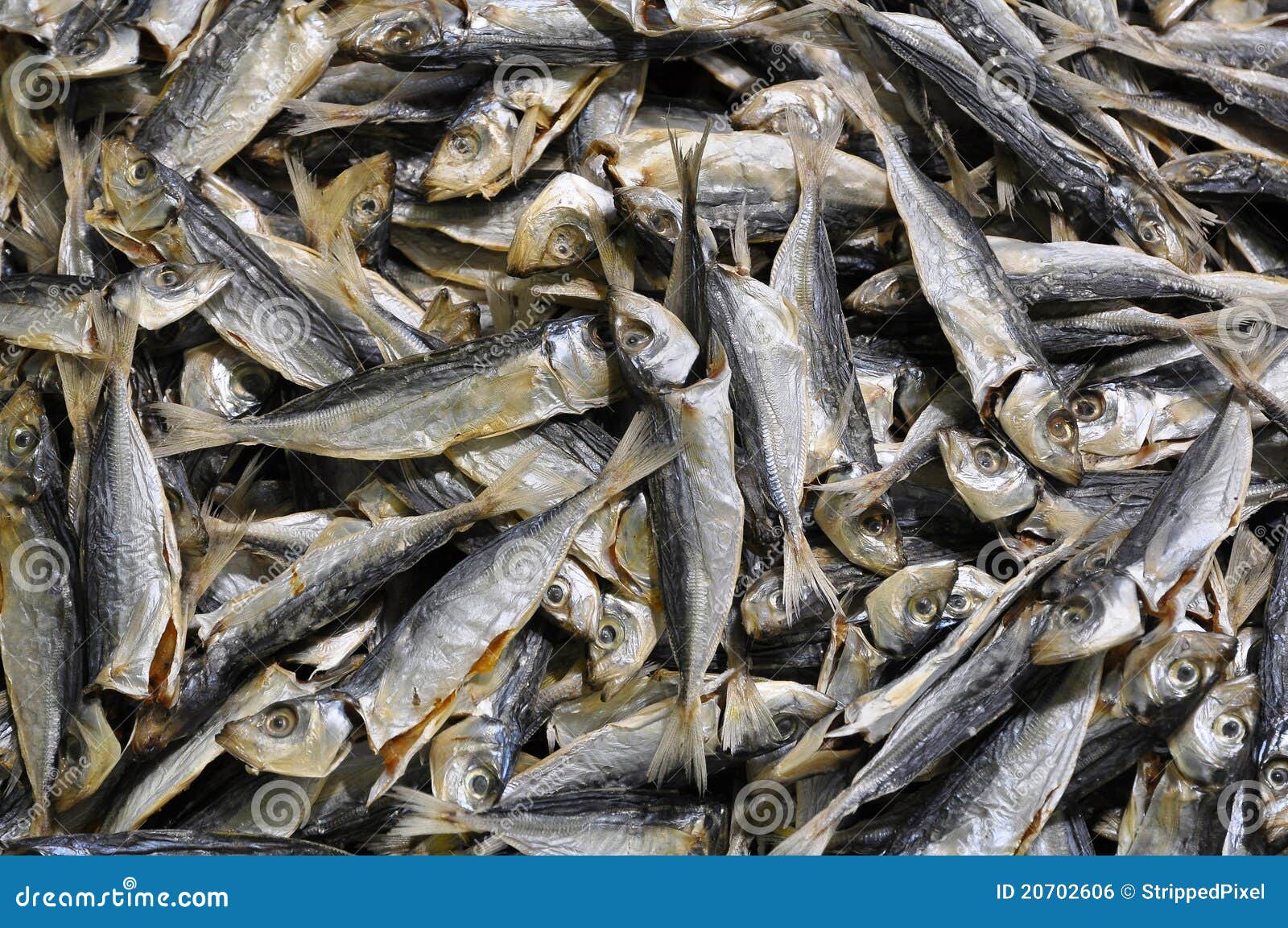 Dried Small Fish stock photo. Image of healthy, close - 20702606