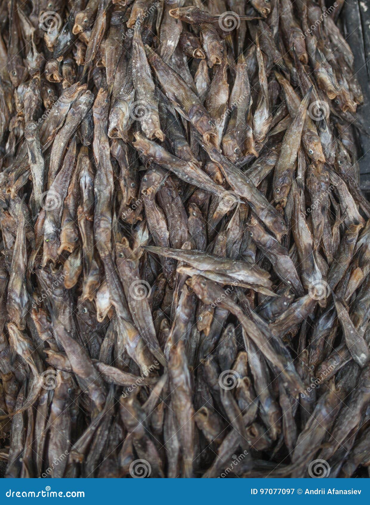 Dried Small Fish Background Stock Image - Image of japanese, exotic ...