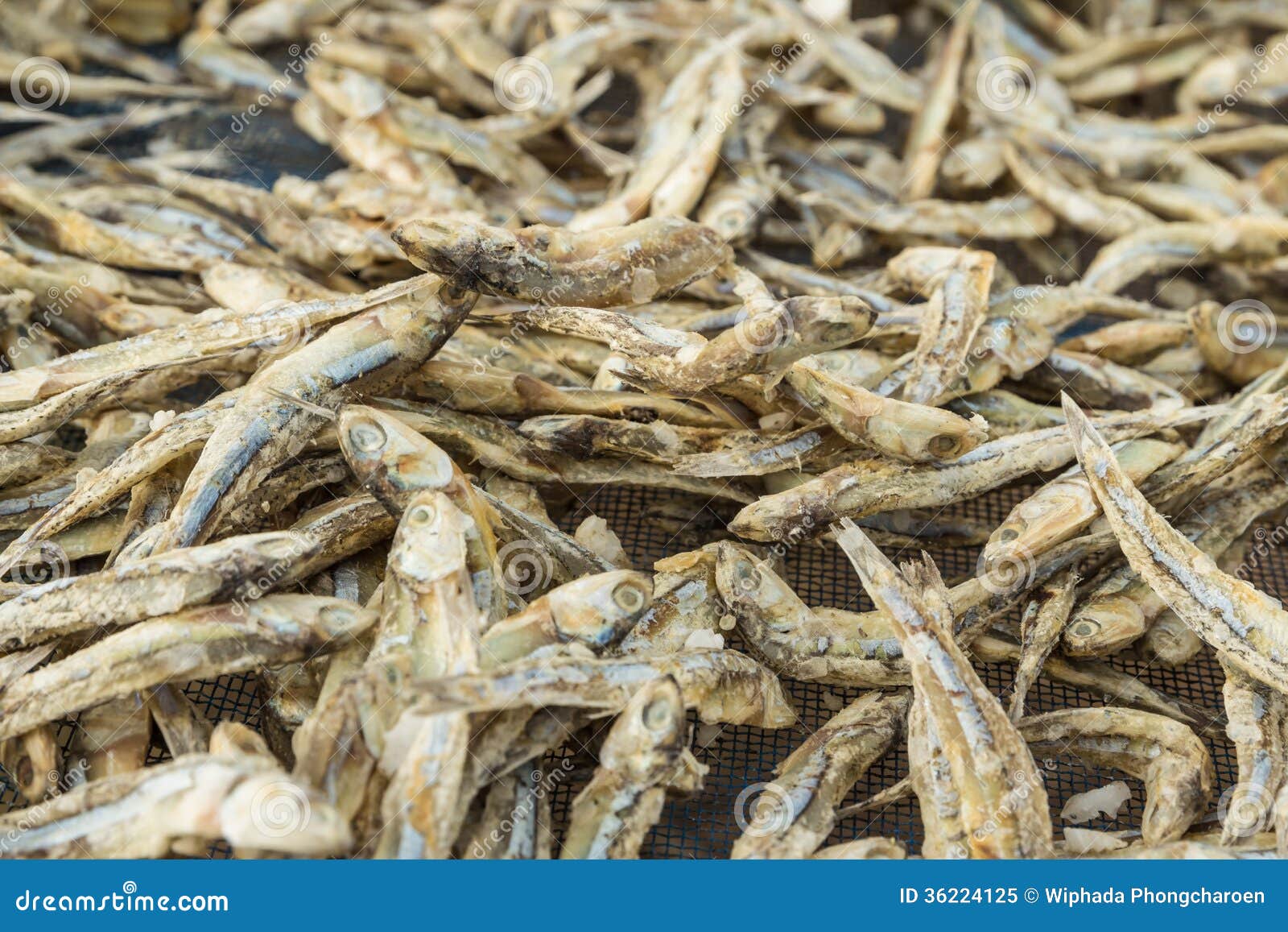 Dried small fish stock image. Image of market, cooking - 36224125
