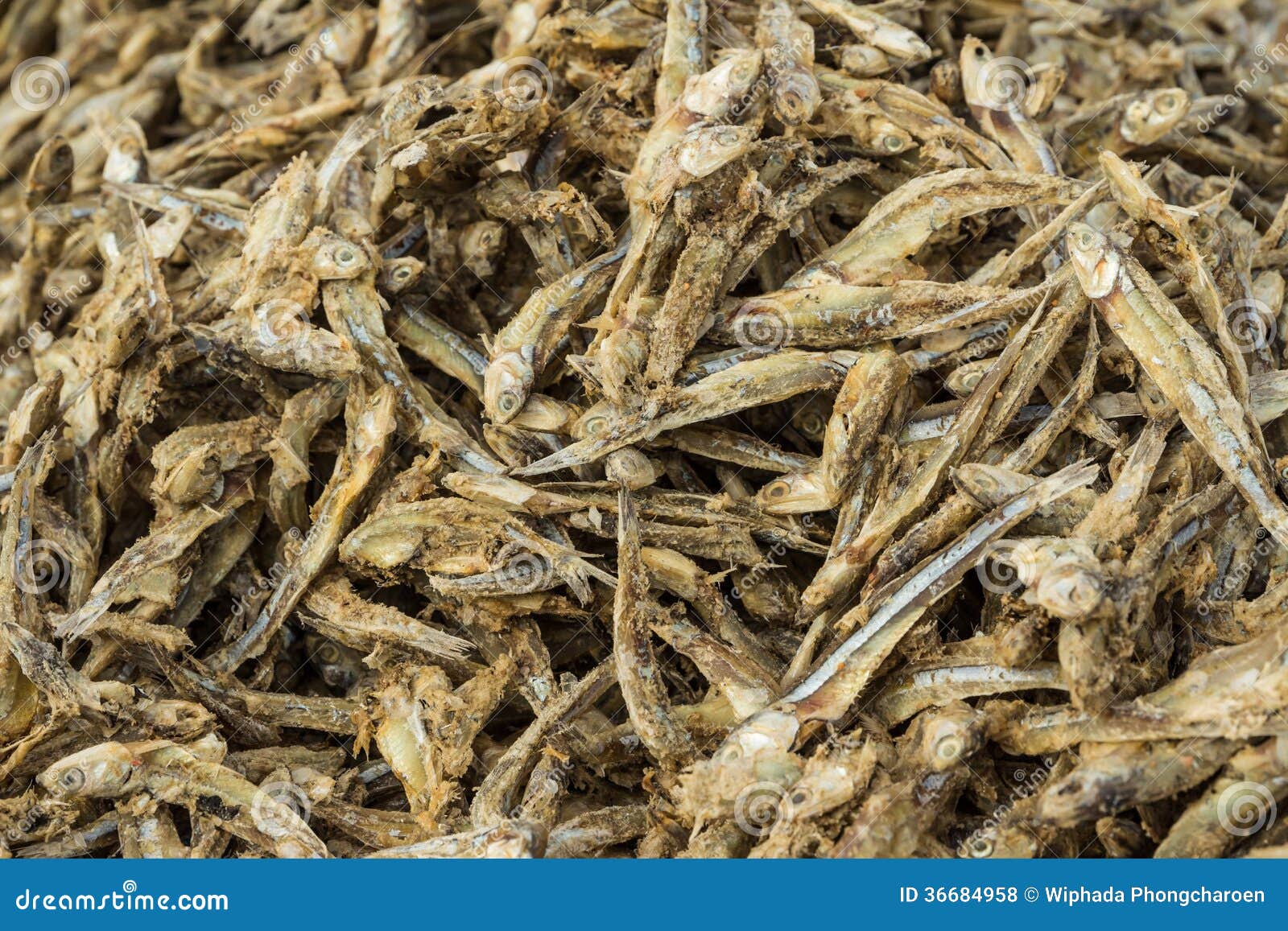 Dried small fish stock photo. Image of nature, market - 36684958