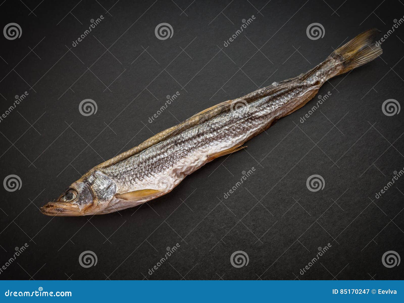 Dried smelt. stock image. Image of meal, delicious, healthy - 85170247