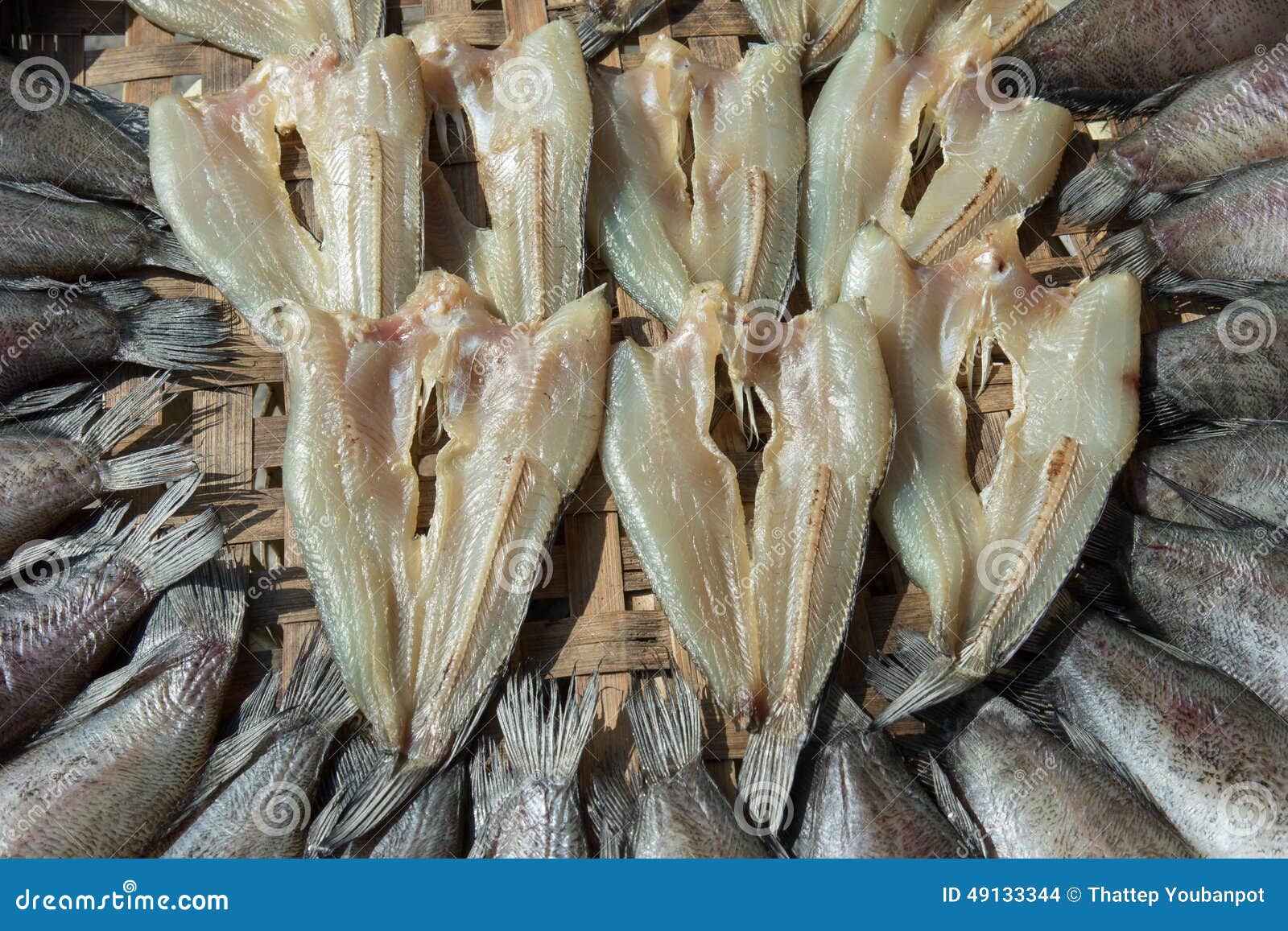 Dried Snake-head Fish On White Background Royalty-Free Stock ...