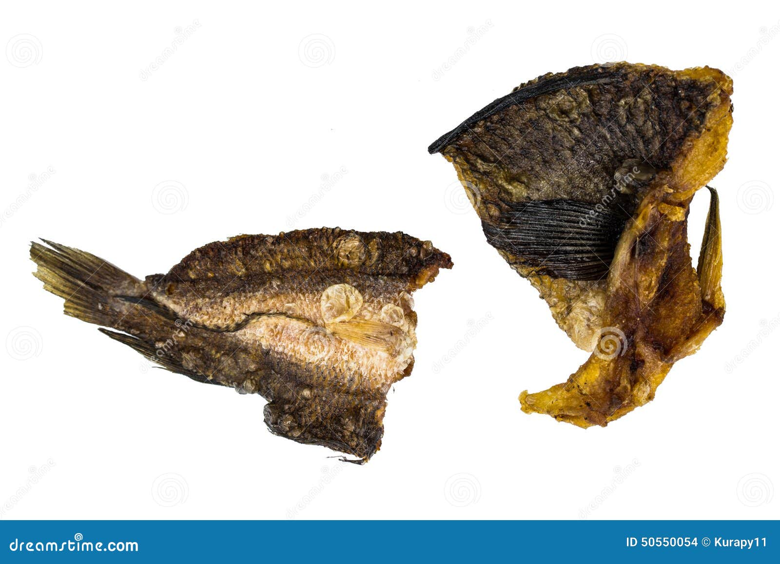 Dried snakehead fish. stock photo. Image of close, animals - 50550054