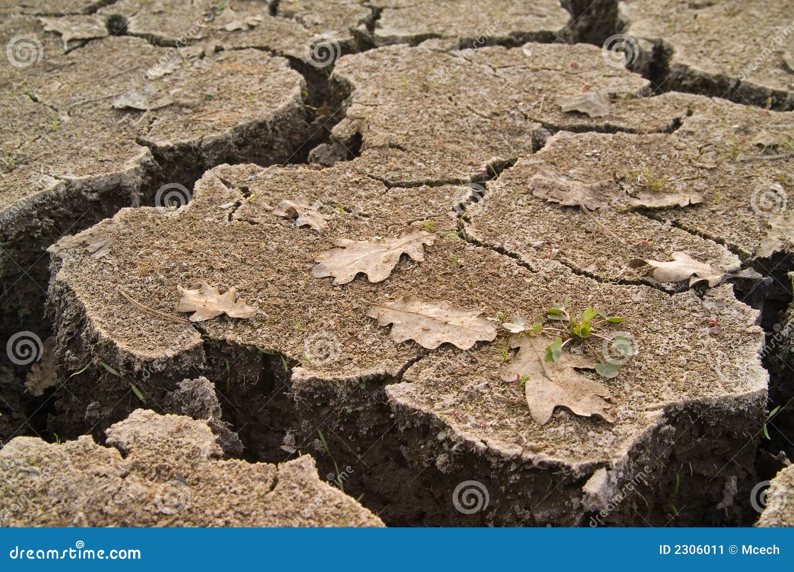 Dried soil stock image. Image of environment, ecology - 2306011