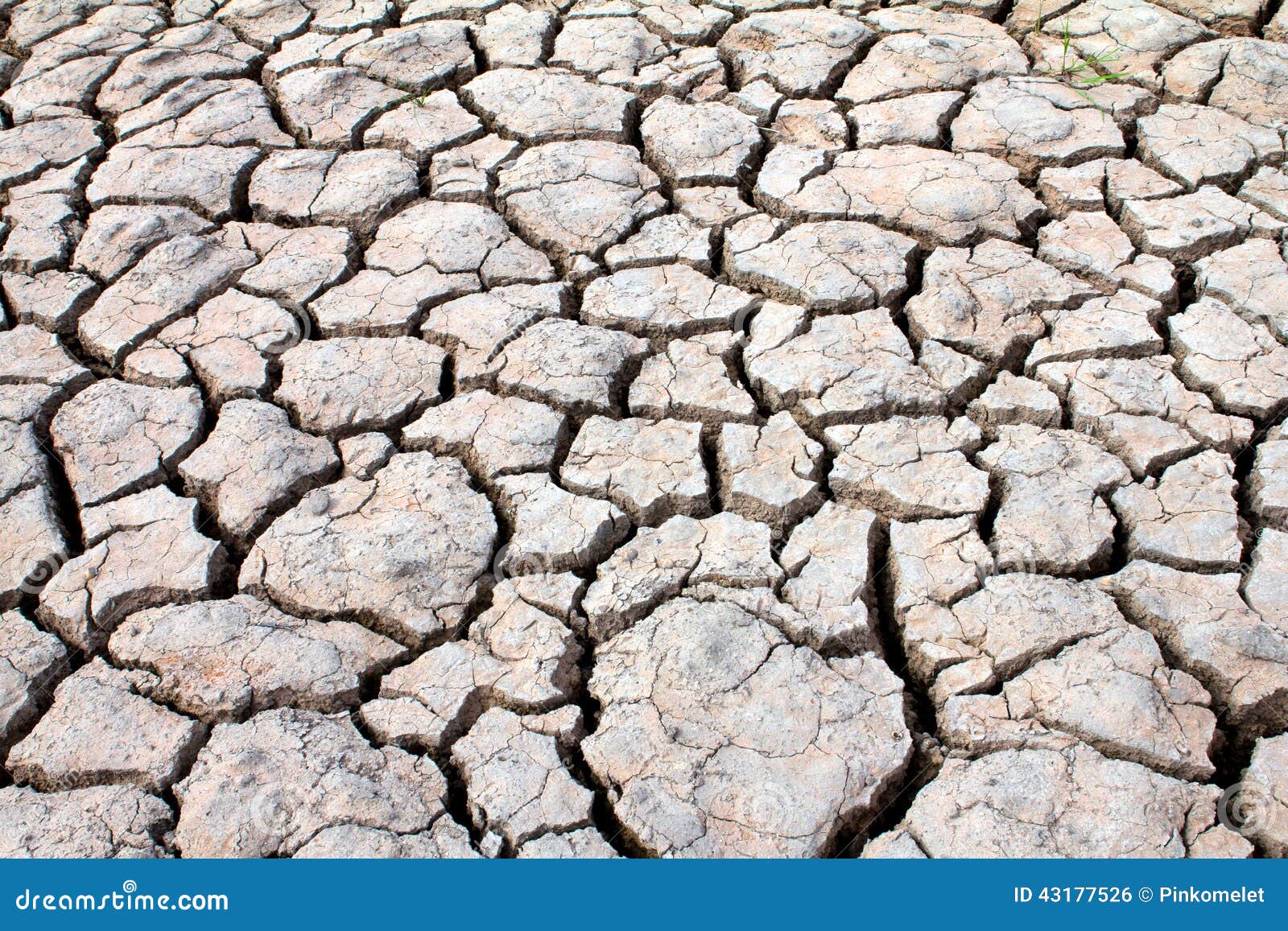 Dried Soil ,crack in the Land Stock Photo - Image of land, crack: 43177526