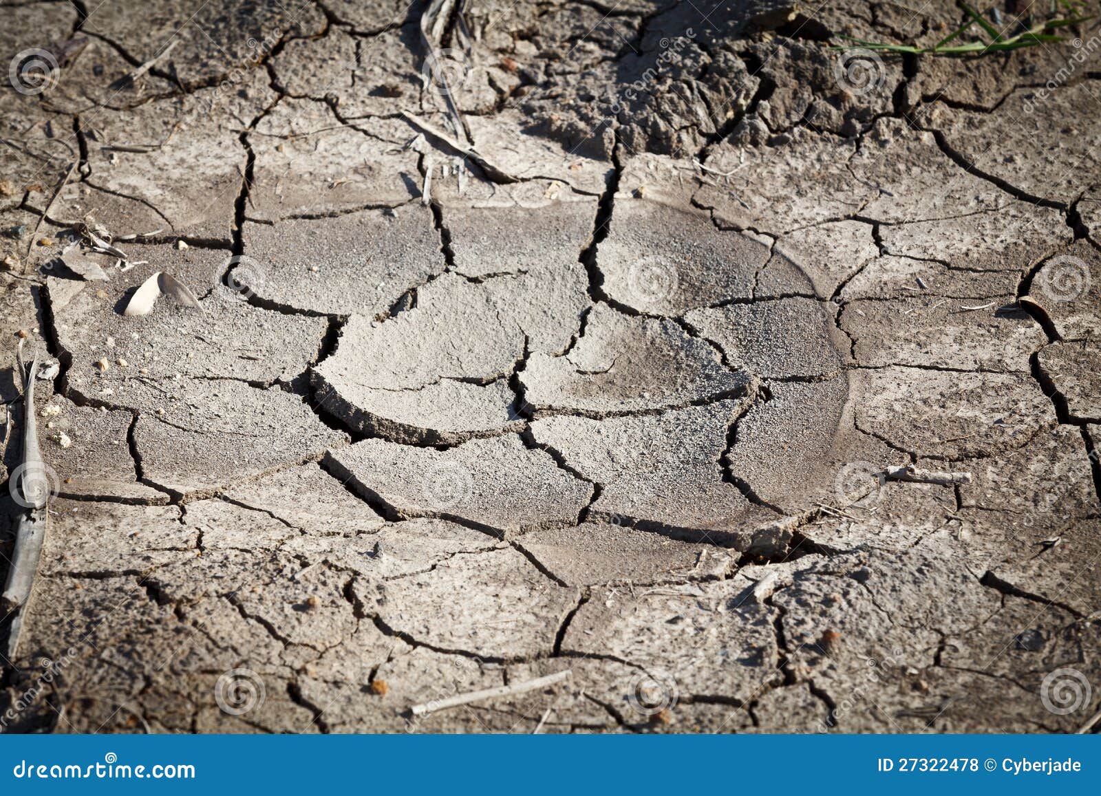 Dried Soil Cracking Under The Scorching Sun Royalty Free Stock Photos ...