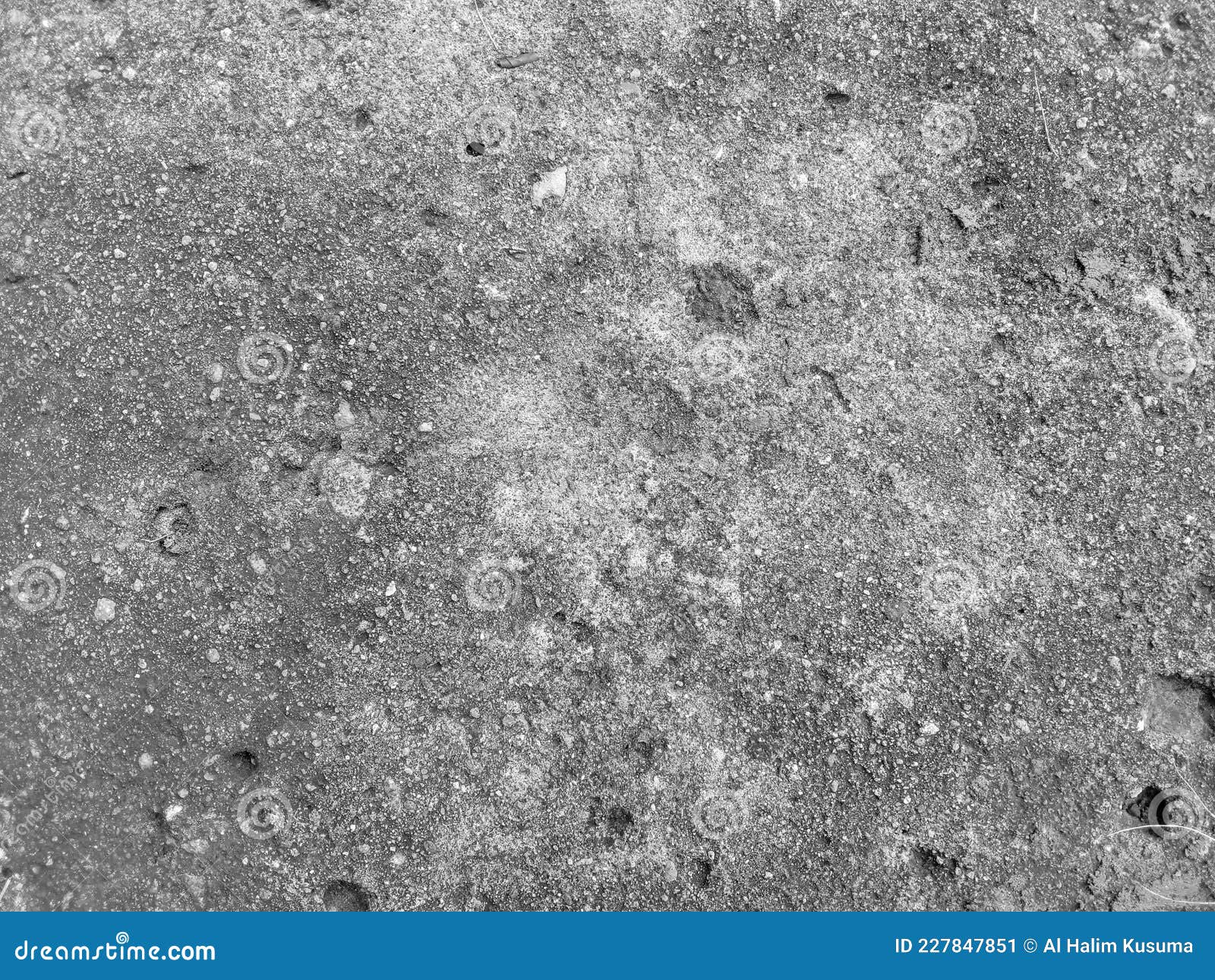 Dried Soil Texture in Black and White Stock Image - Image of monochrome ...