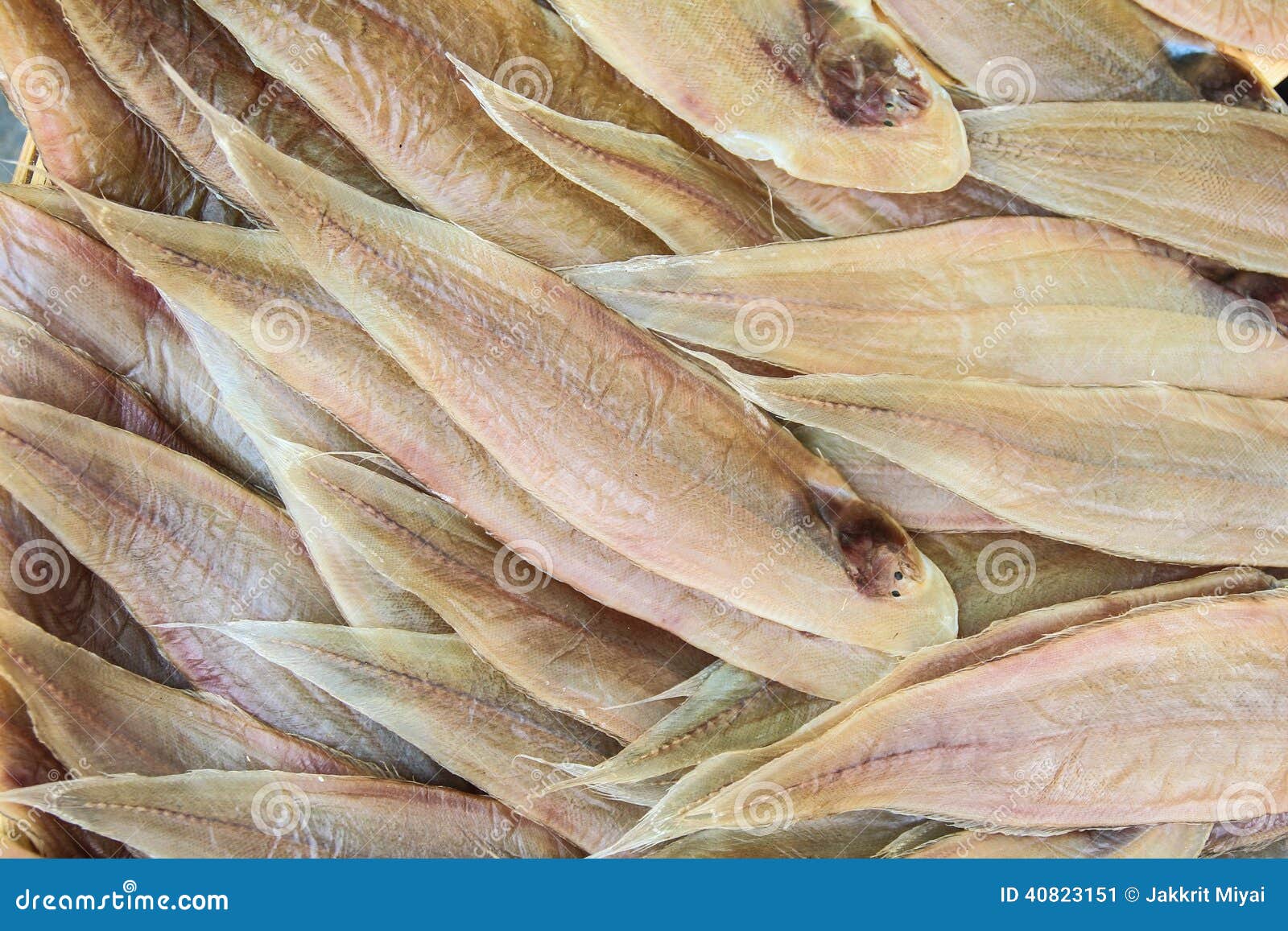 Dried sole fish stock image. Image of organic, edible - 40823151