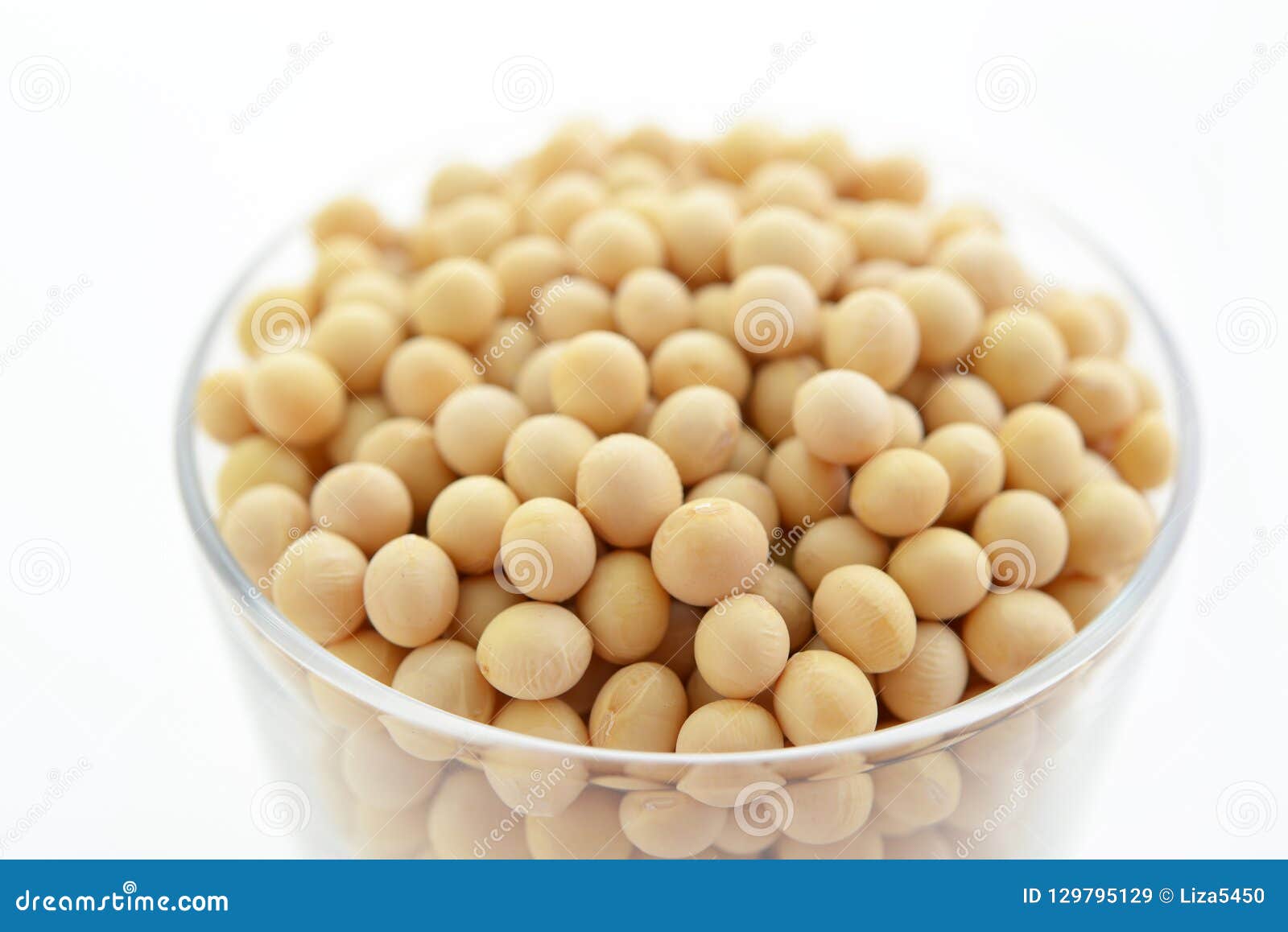Dried soy beans stock image. Image of health, dietary - 129795129