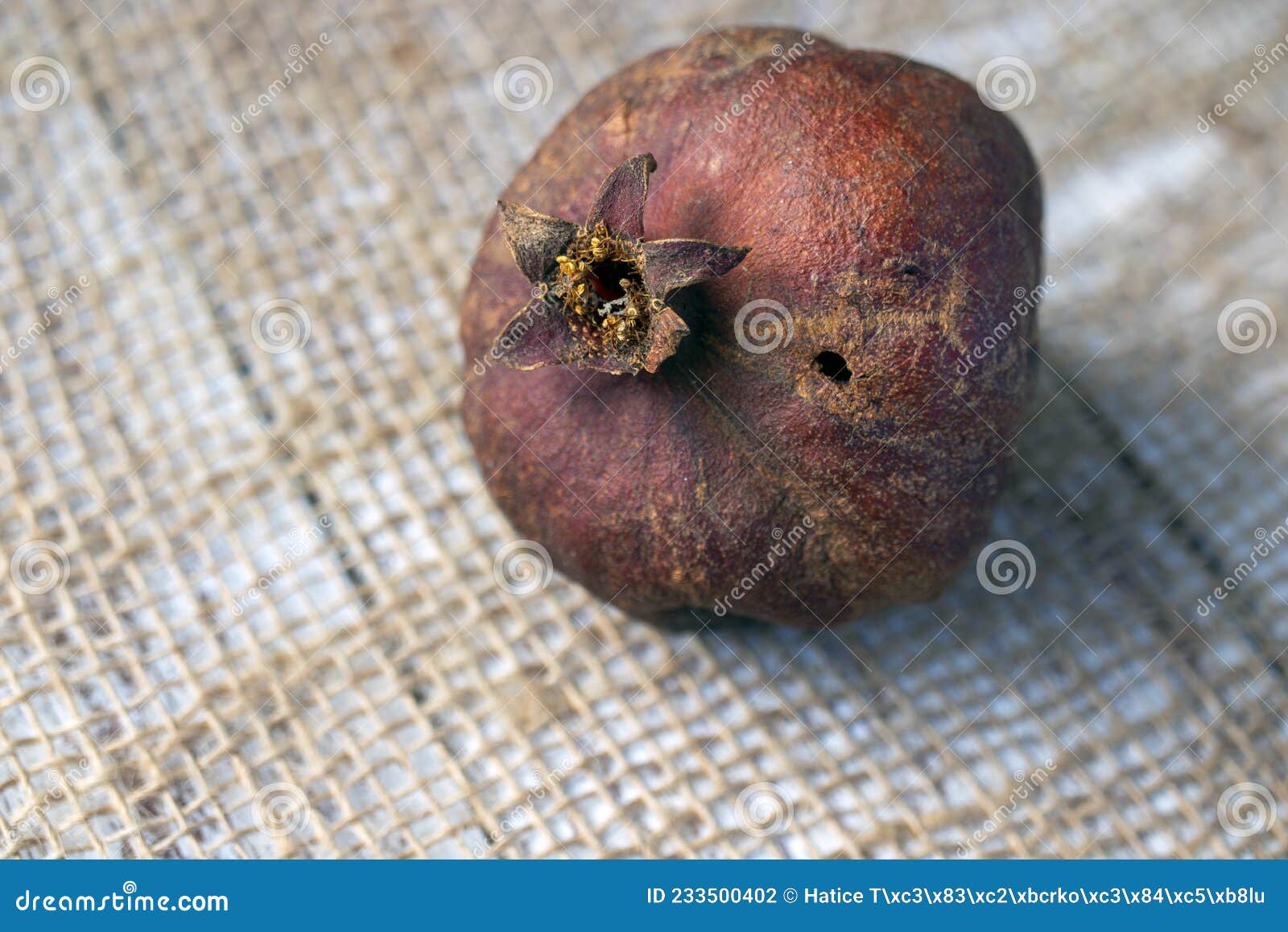 Dried and Spoiled Pomegranate. Expired Rotten Pomegranate Stock Photo ...
