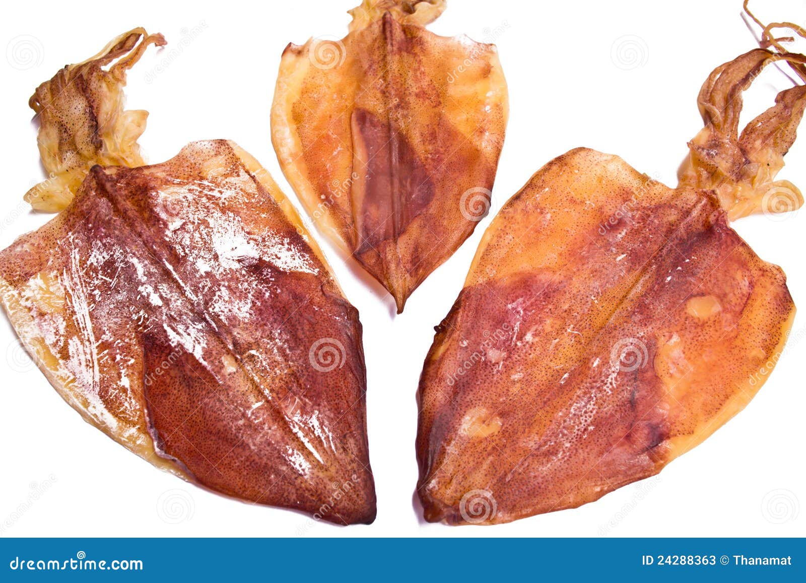 Dried squid stock image. Image of diet, delicious, calm - 24288363