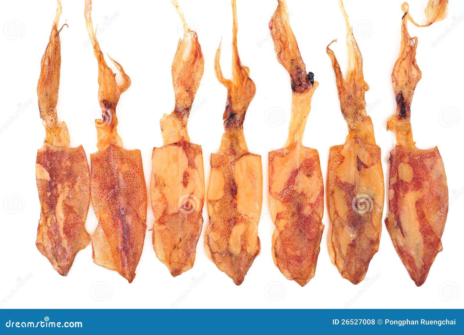 Dried Squid stock photo. Image of asian, snack, freshness - 26527008