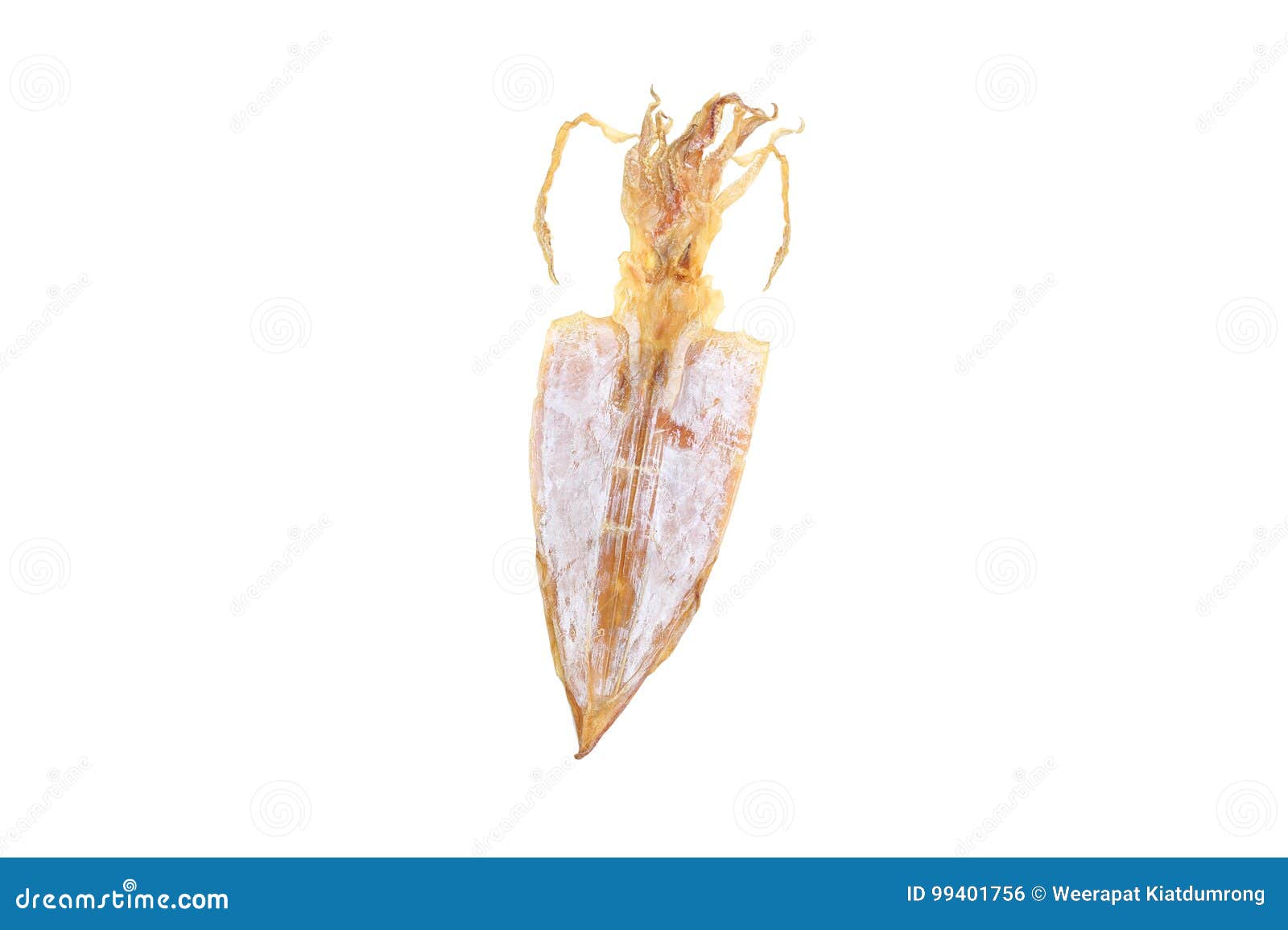 Dried squid stock photo. Image of snack, animal, squids - 99401756