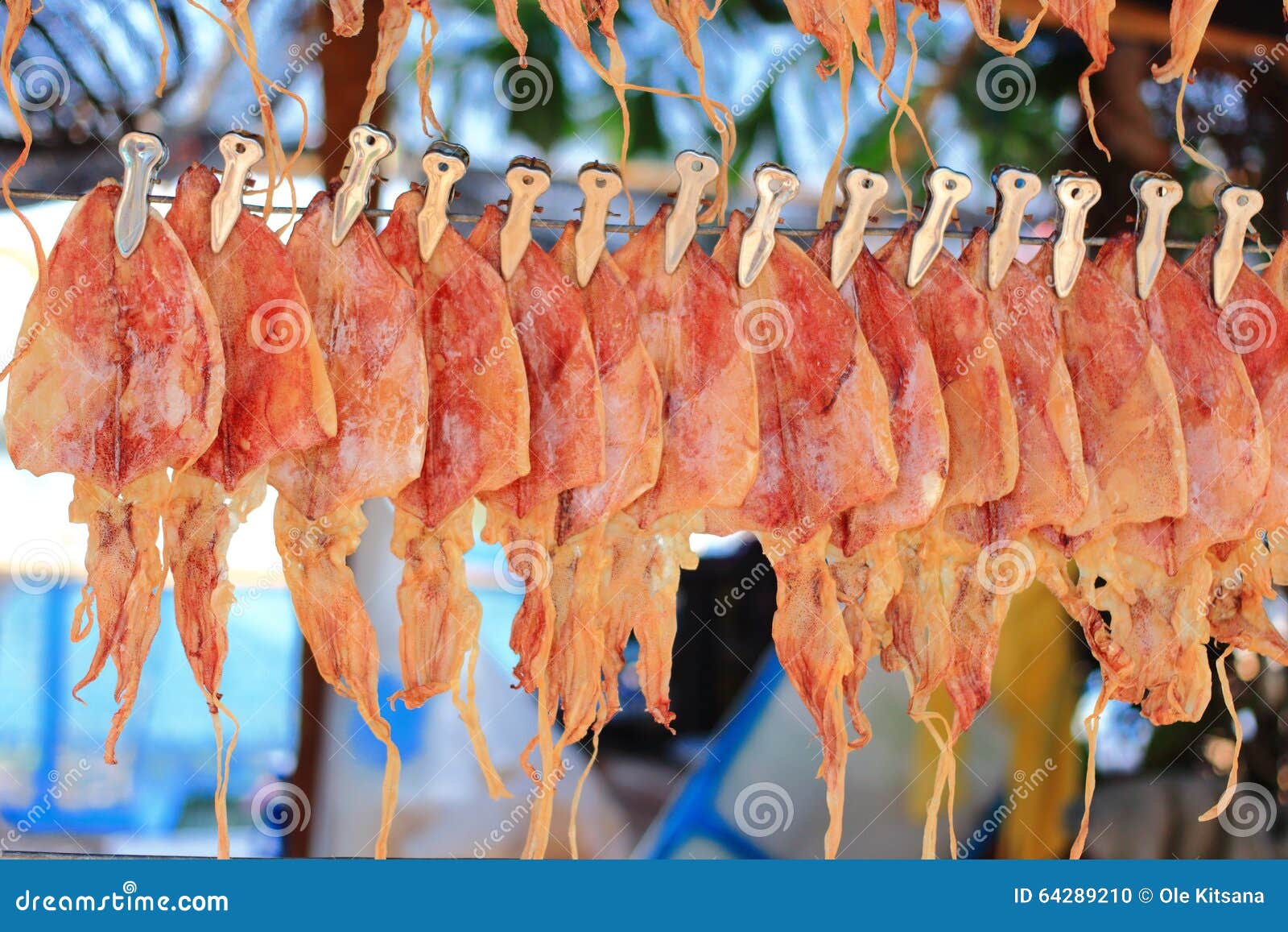 Dried squid stock photo. Image of squid, selling, market - 64289210