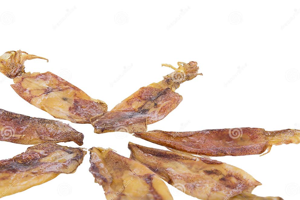 Dried Squid Isolated on White Stock Photo - Image of protein ...