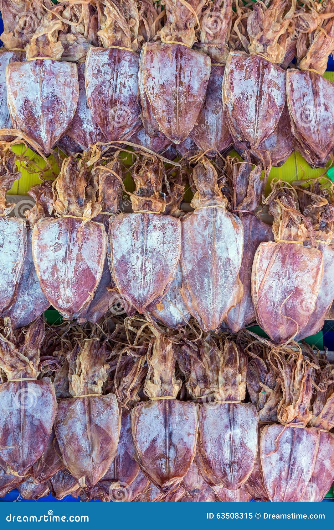 Dried squid stock image. Image of cuttlefish, fish, pattern - 63508315