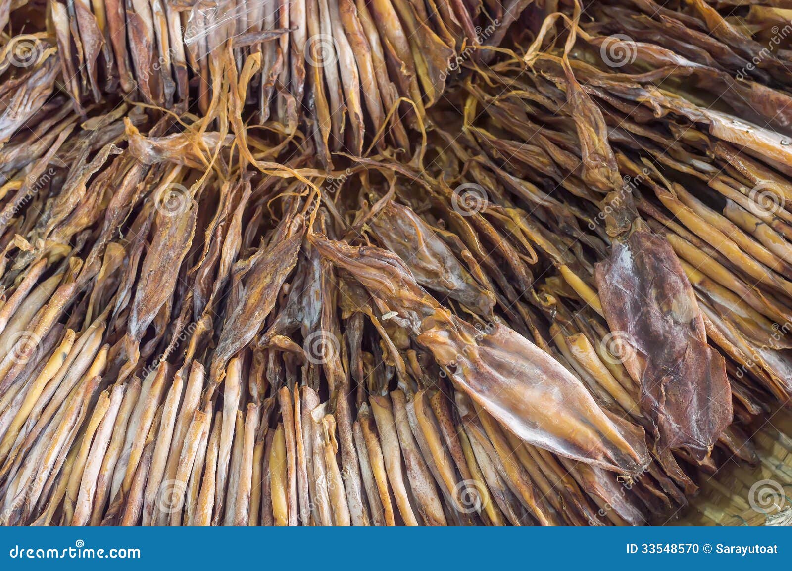 Dried squid stock photo. Image of seafood, summer, squid - 33548570