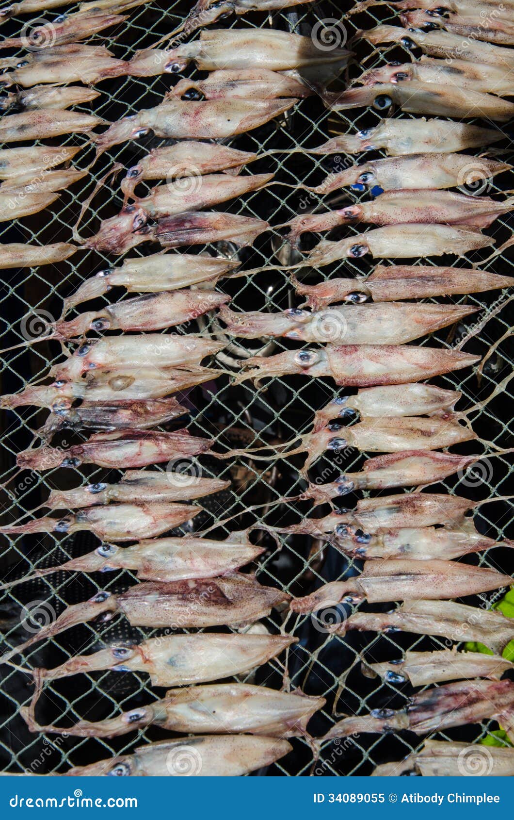 Dried squid stock image. Image of dried, fresh, seafood - 34089055
