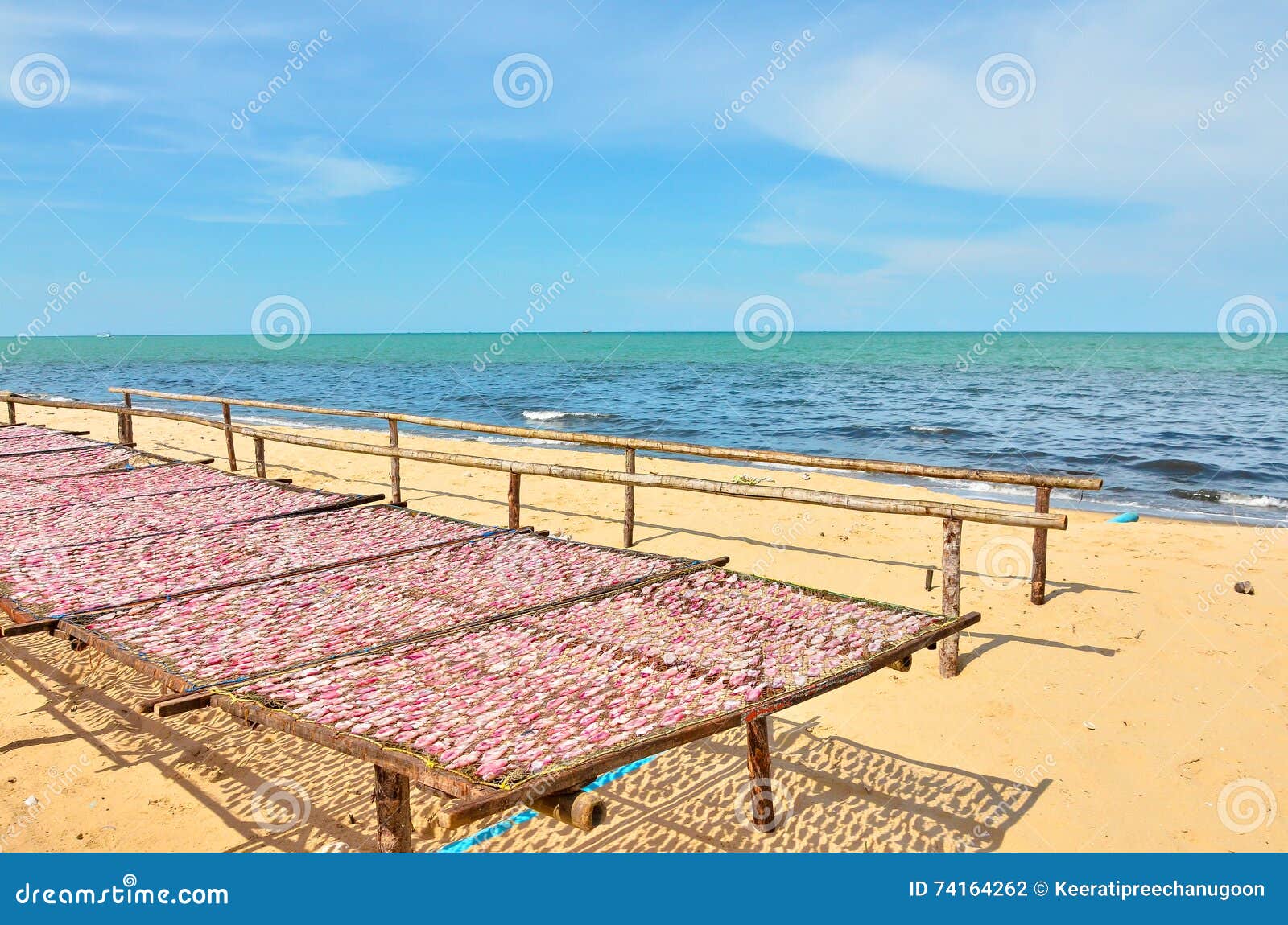 Dried Squid, Traditional Drying Squid Stock Photo - Image of protein ...