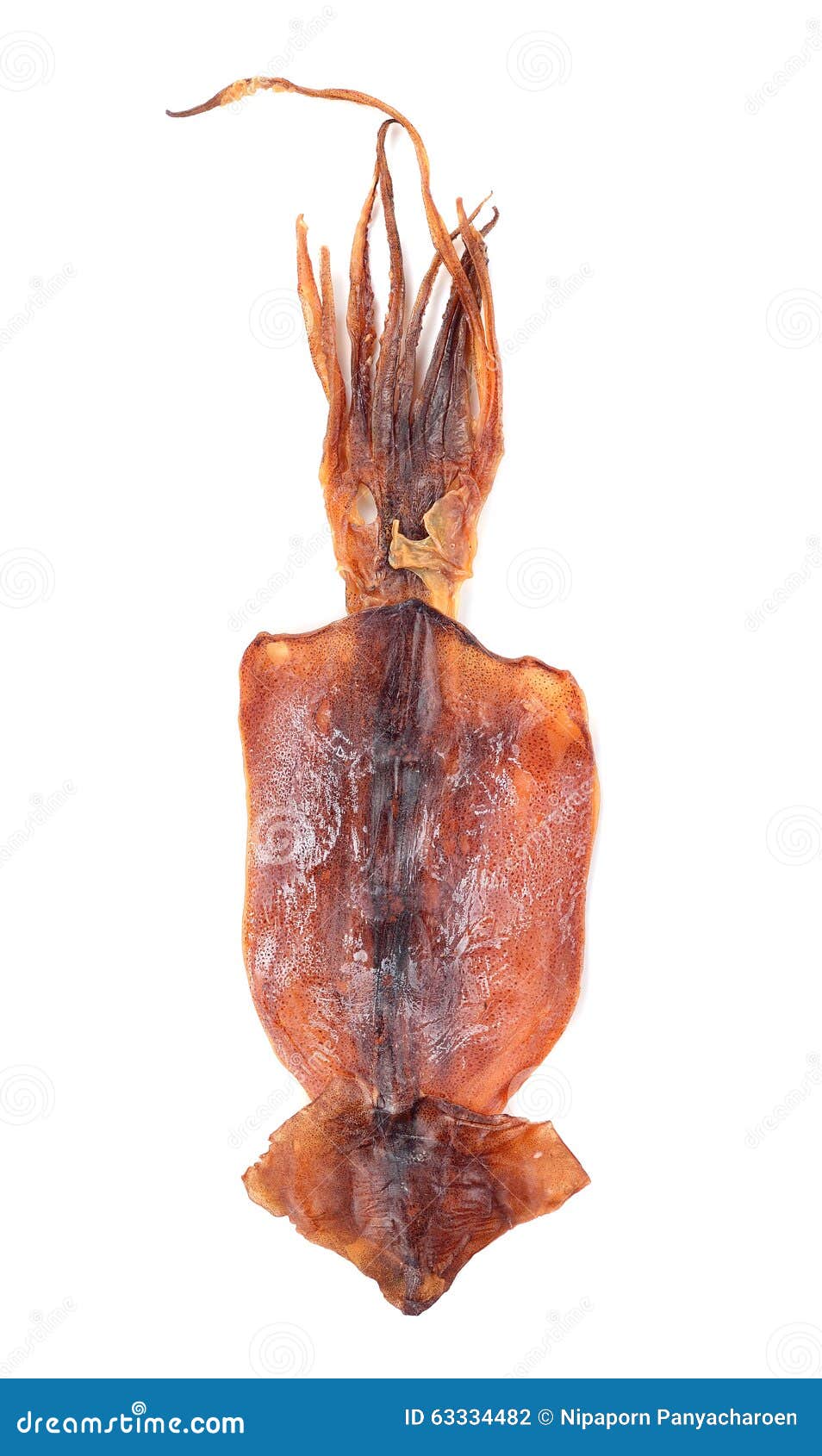 Dried squid stock photo. Image of squid, horizontal, japanese - 63334482
