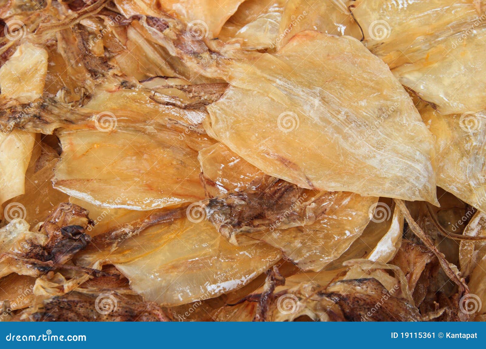 Dried squids stock image. Image of pattern, cook, healthy - 19115361