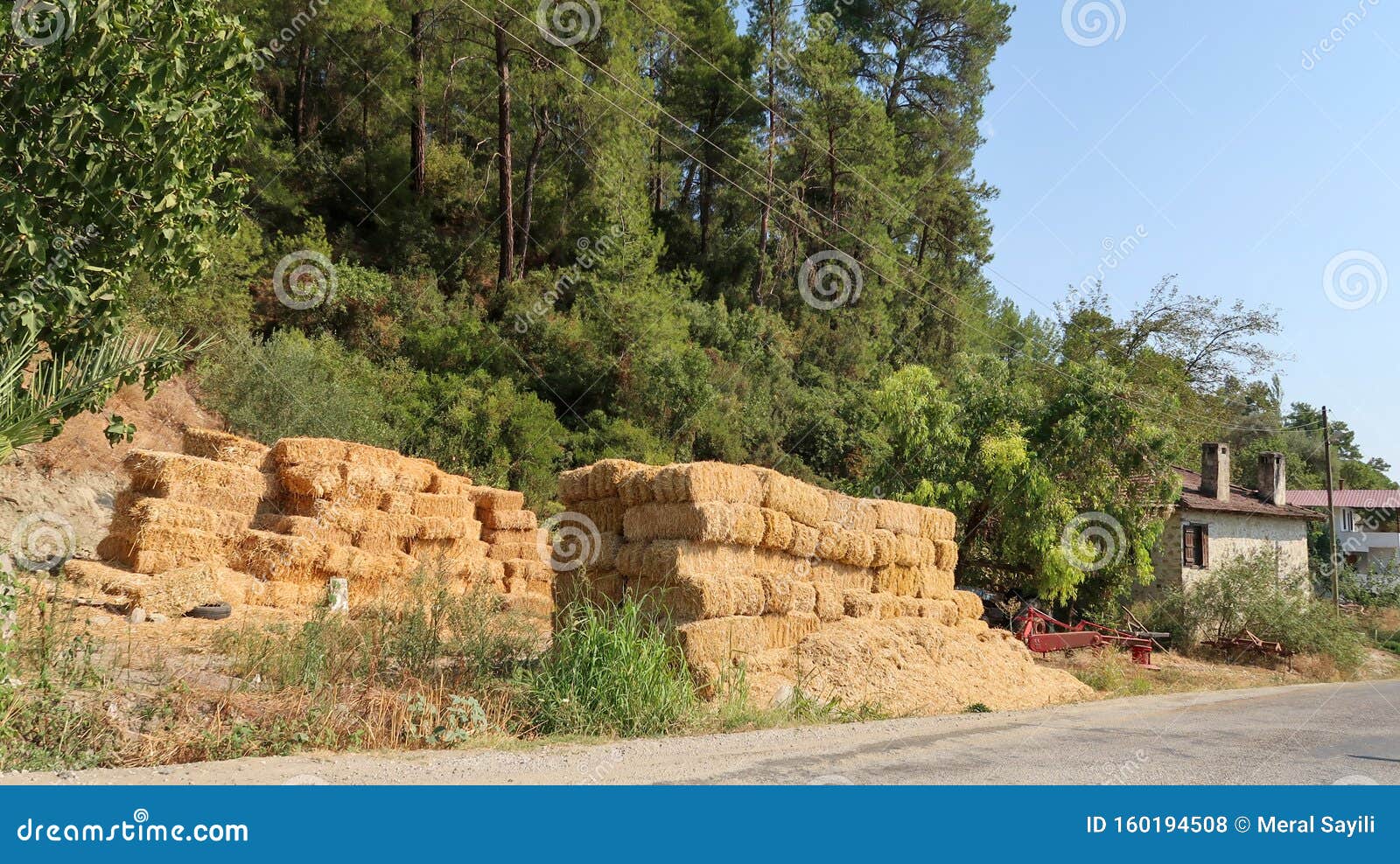 Stack of Haystack Collected at Roadside Stock Photo - Image of farm ...