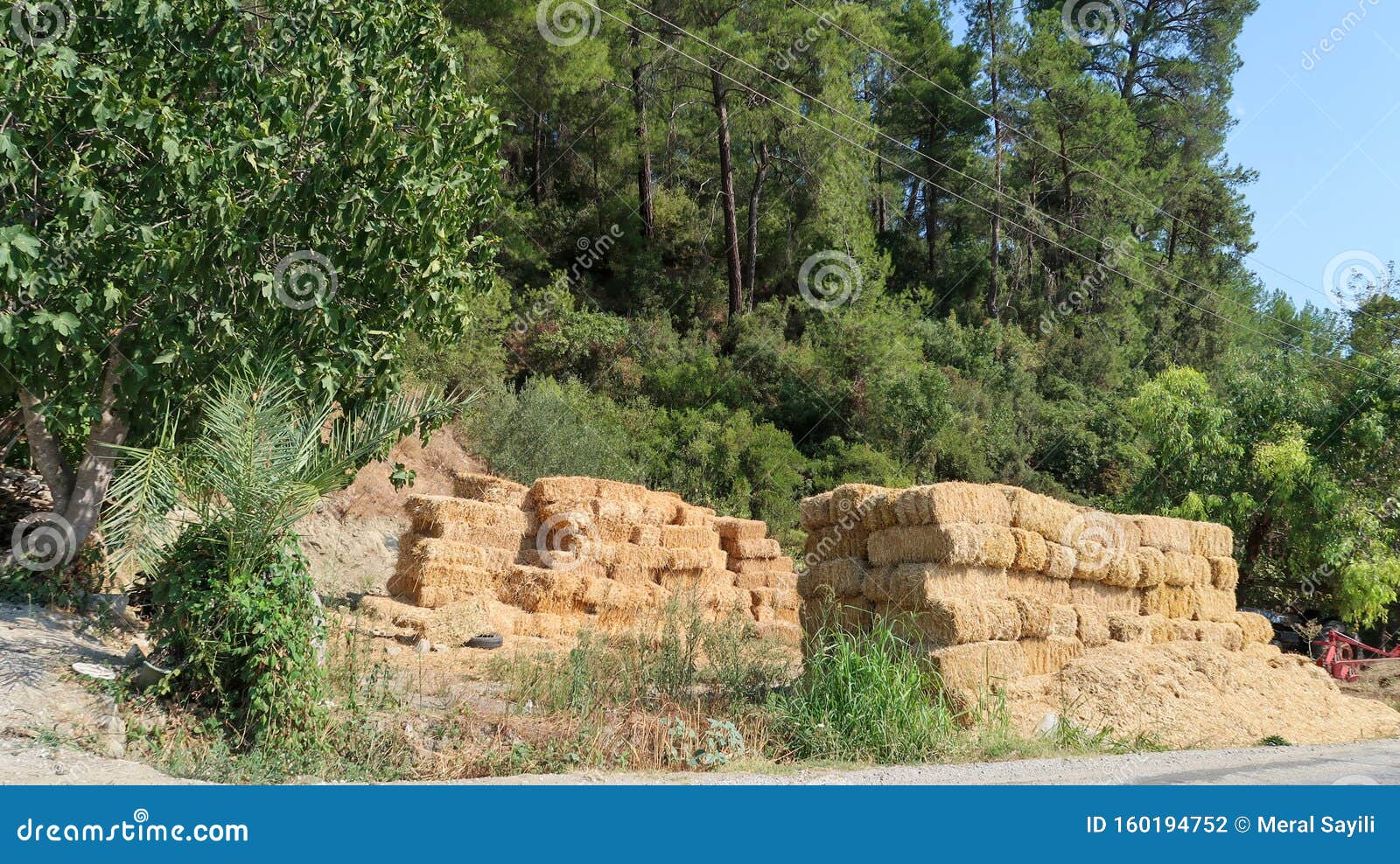 Stack of Haystack Collected at Roadside Stock Photo - Image of gold ...