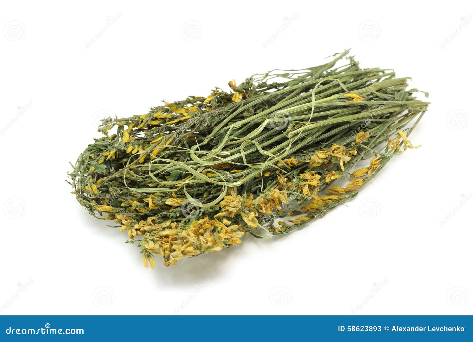Dried stalks of herbs stock image. Image of sorcery, dried - 58623893